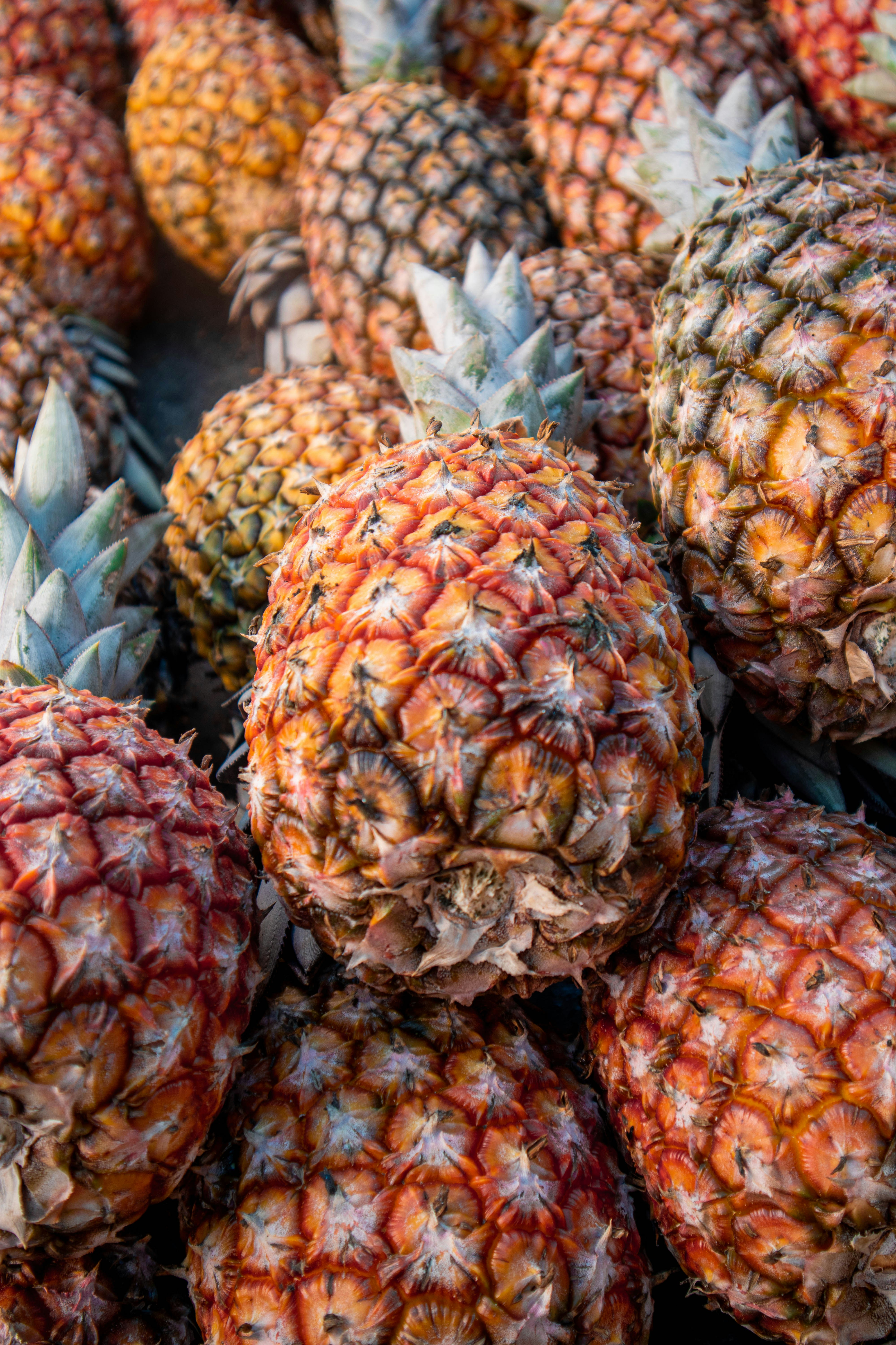 Close-up view of ripe pineapples piled together, revealing textured skin and colorful hints of orange, red, and blue-green leaves. A still-life composition emphasizing pattern and natural color variation.