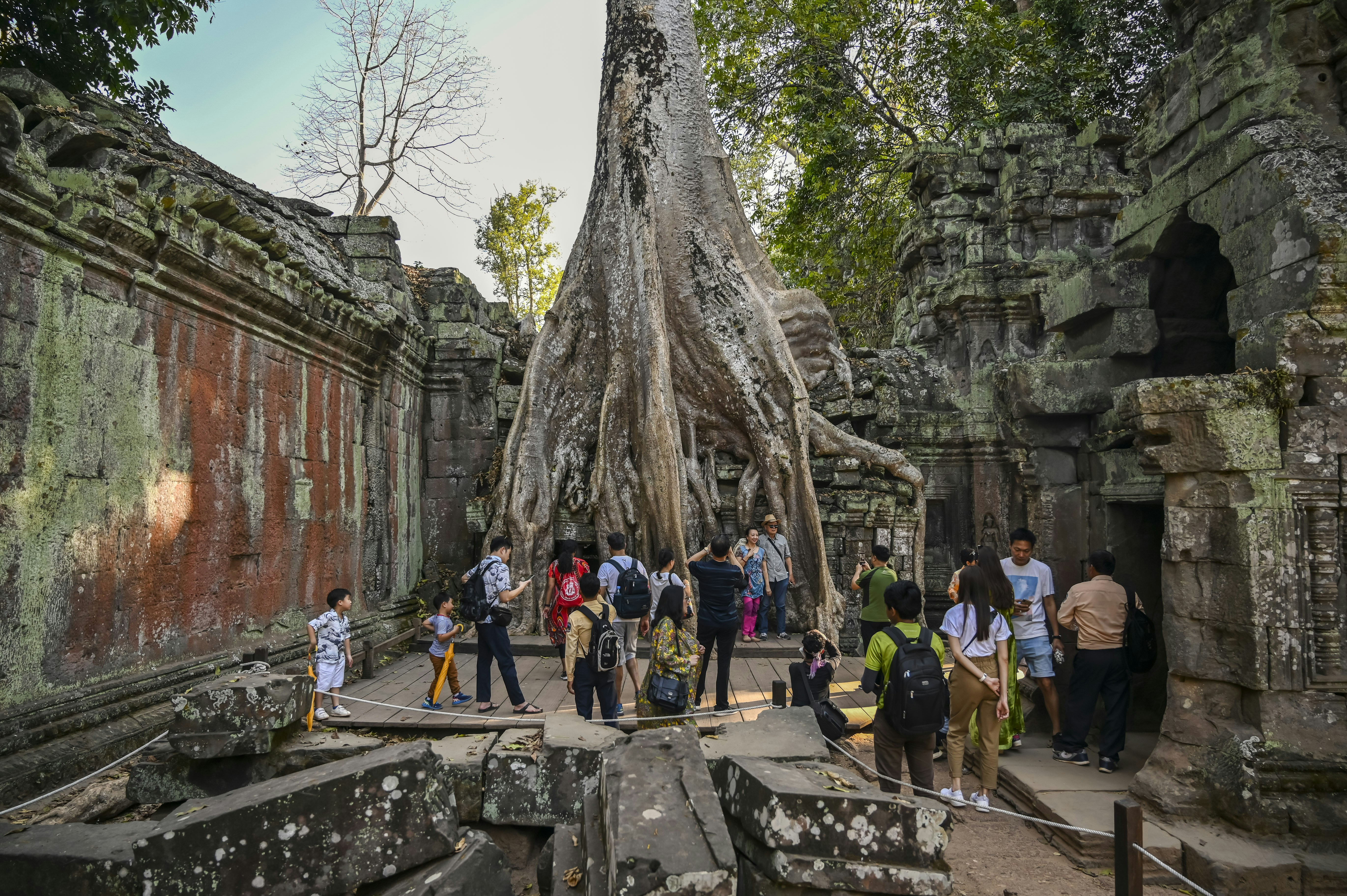 Rooted in Time: Giants and Visitors Among Ancient Walls