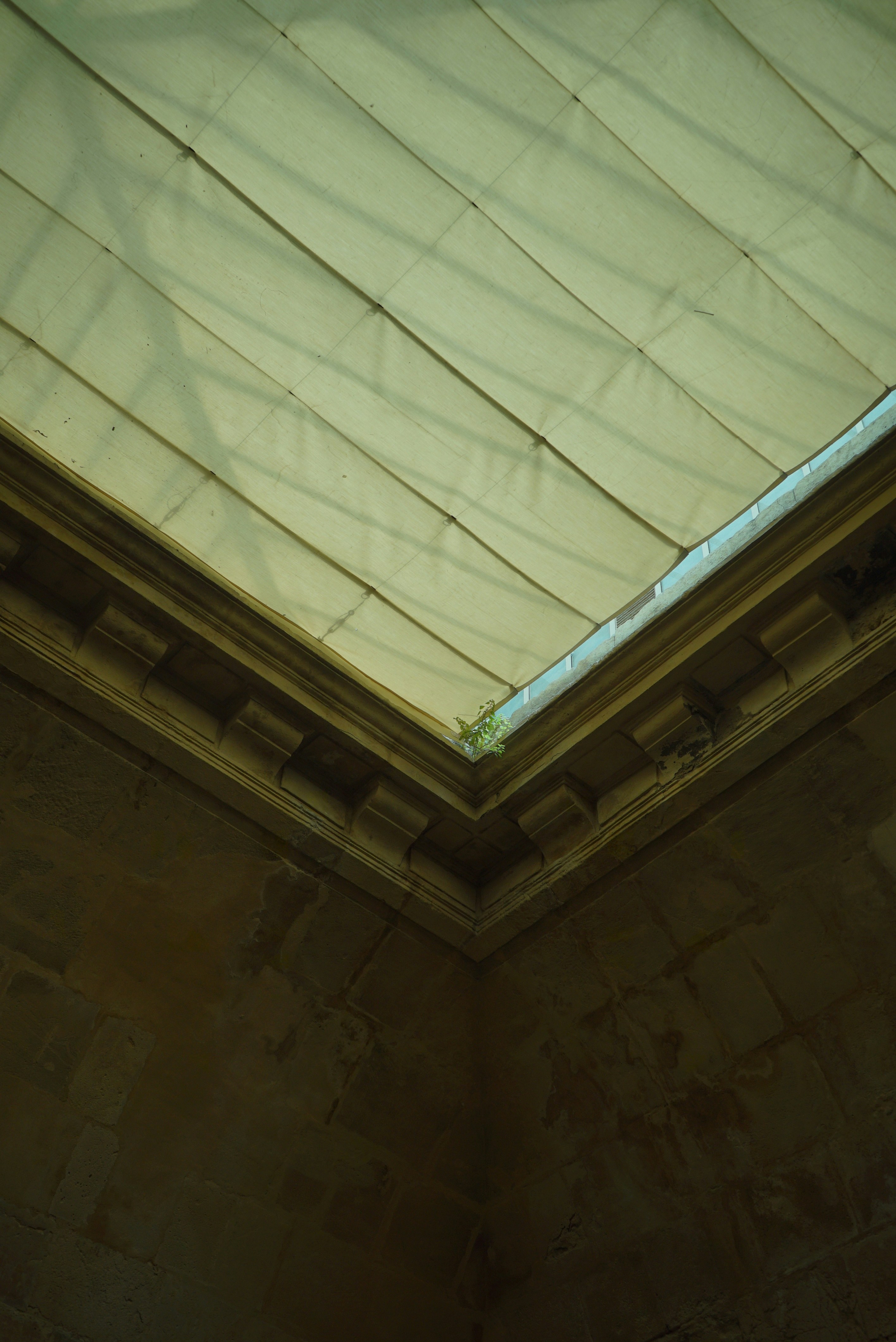 Guardian of the Aisle: Sunlit Roof Vault Framed by Stone Cornice