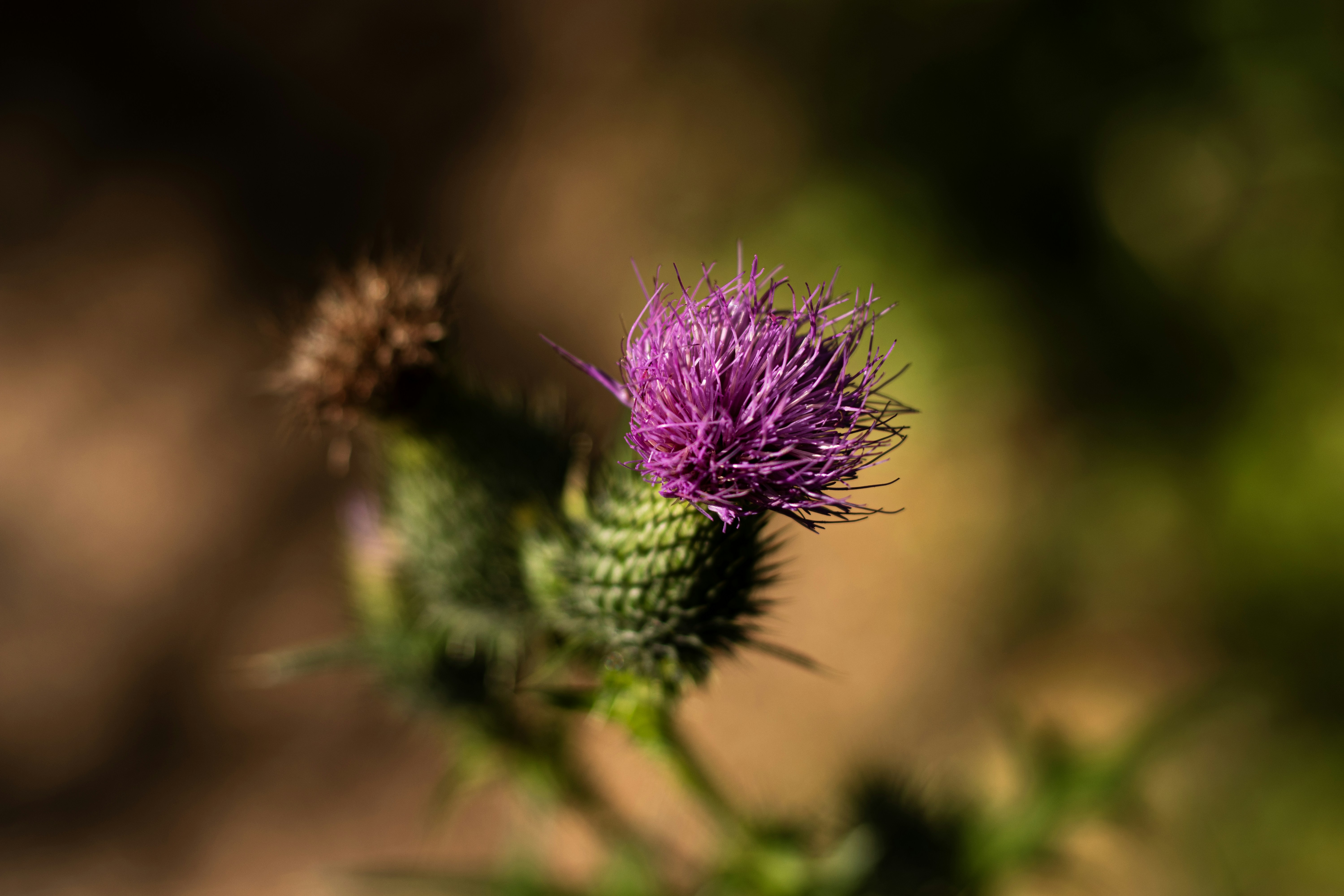 Photo by Reinis Brūzītis with Canon EOS 80D