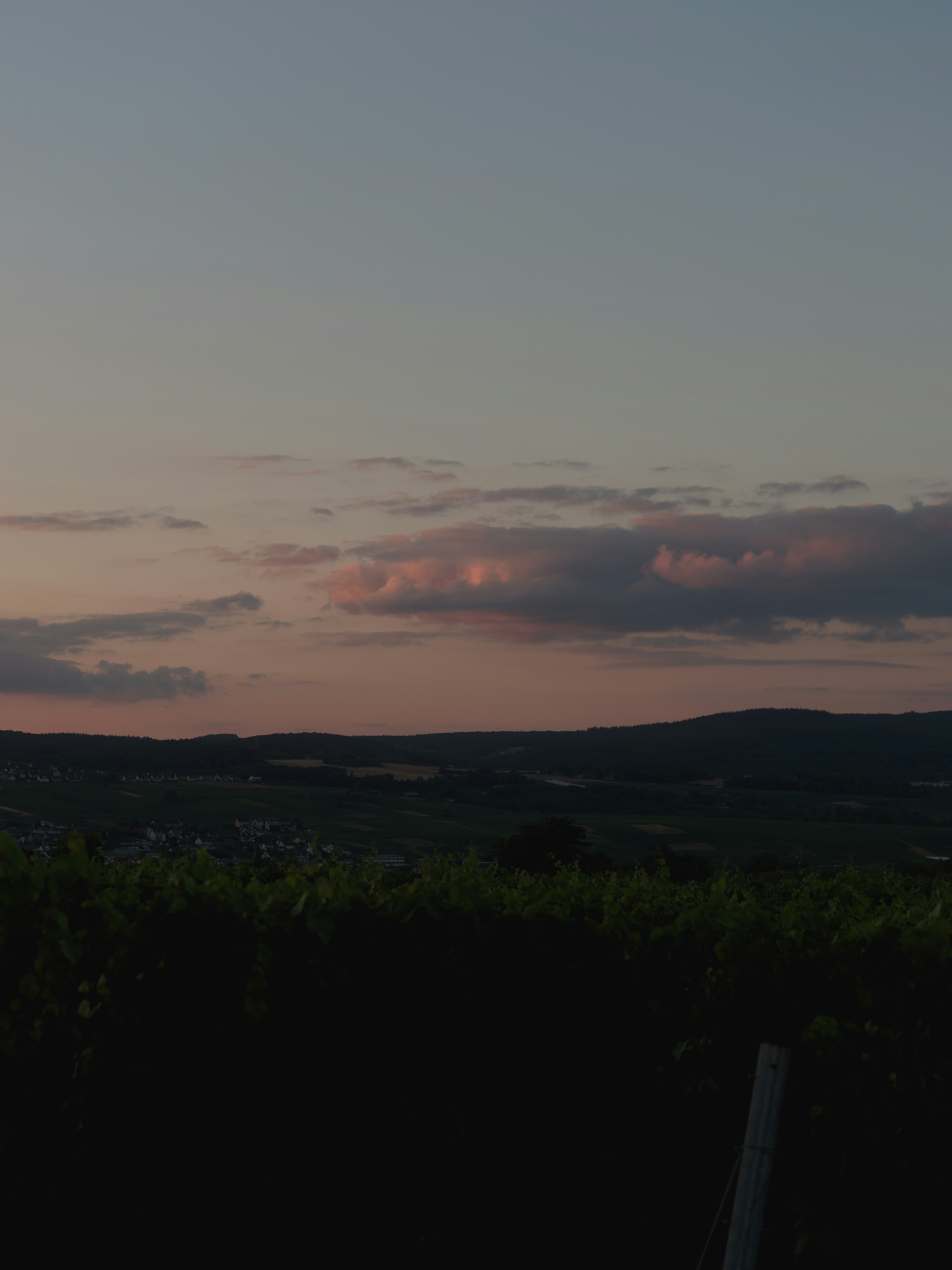 Dusk over a vineyard with rolling hills and a soft pink-orange sky, emphasizing the tranquil landscape. The scene is a natural photo, not an illustration or logo.