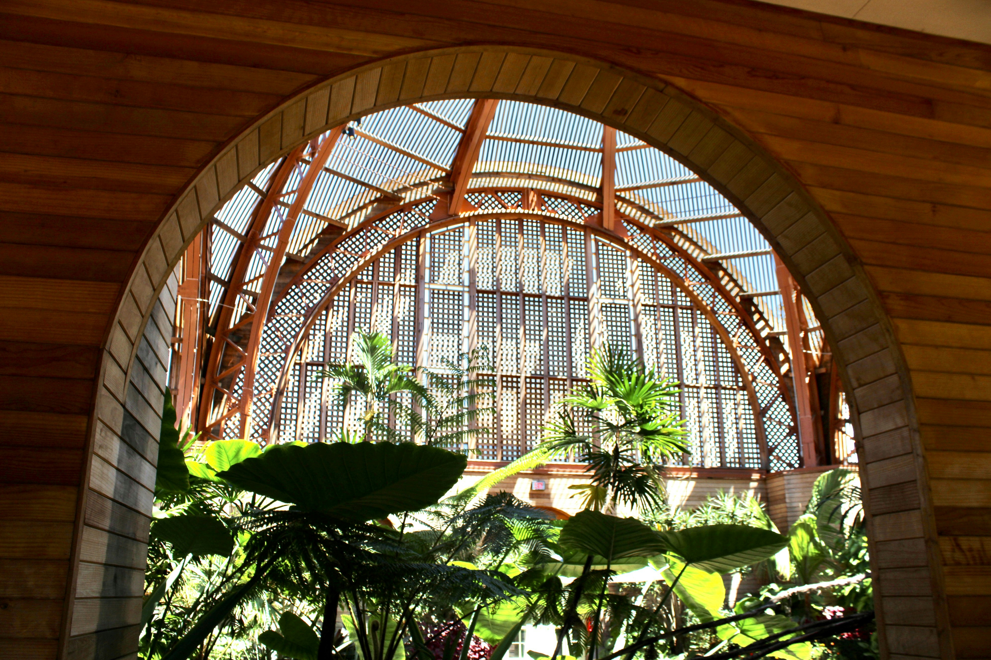 Arched Conservatory Window Framing a Lush Indoor Garden