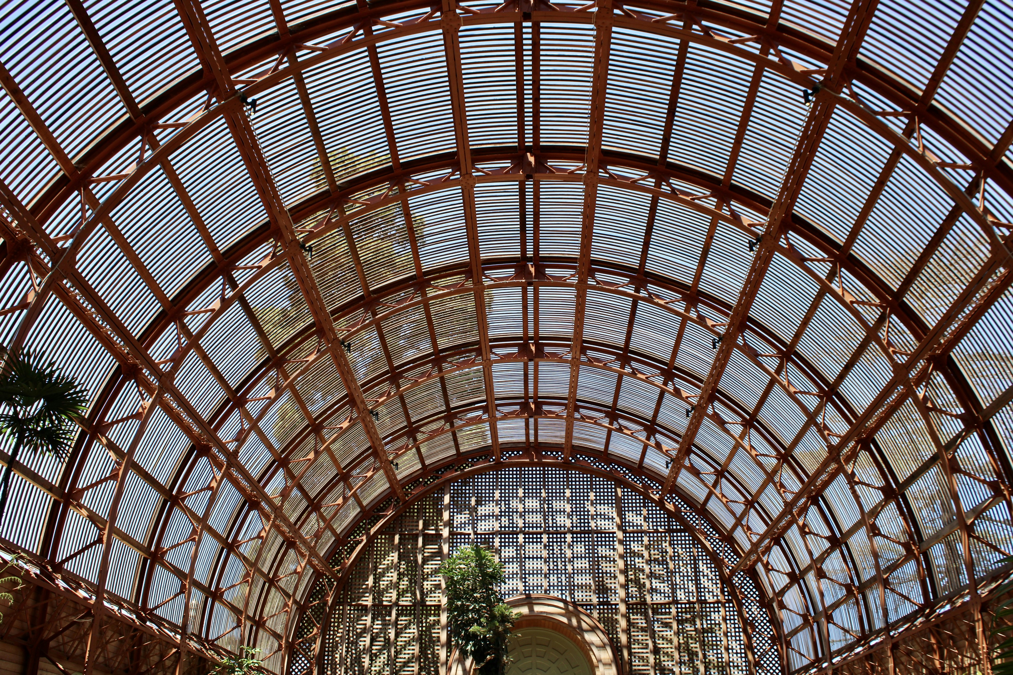 Iron Lattice Cathedral: Sunlit Glass Arches Converging into Open Sky