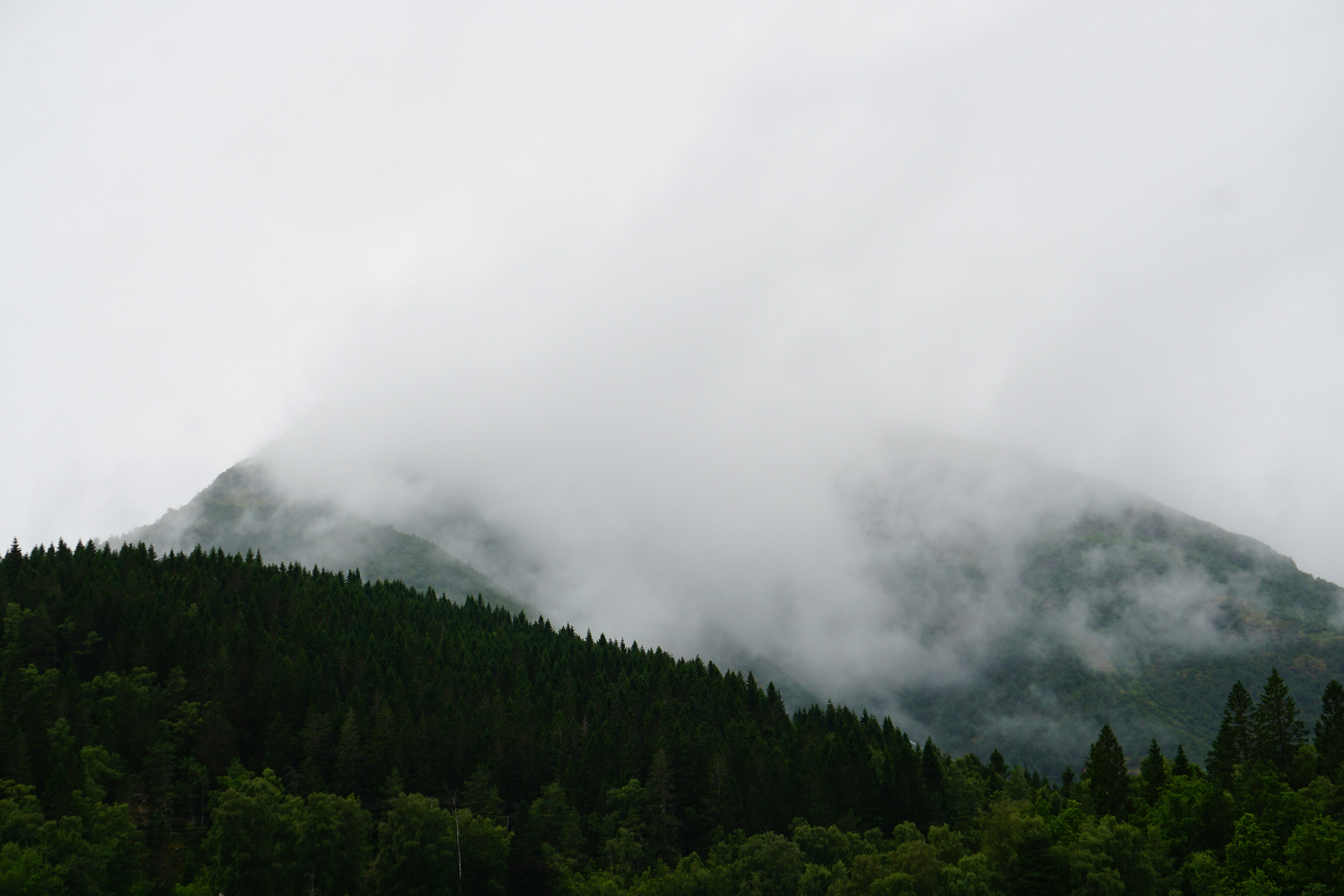 Low-Cloud Crest over Pine Valley