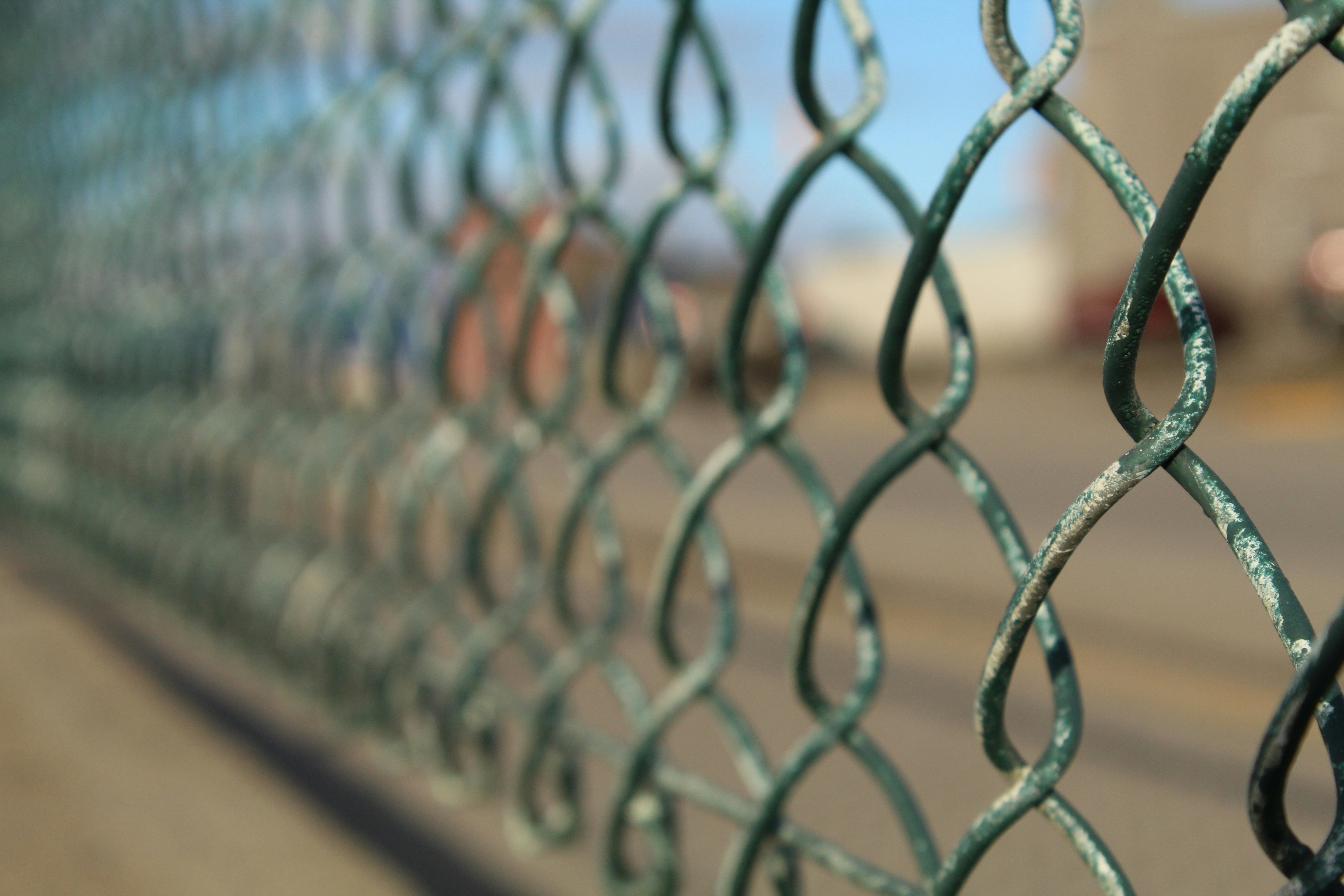 Tangled Grid: Weathered Chain-Link Reaching Toward an Industrial Street