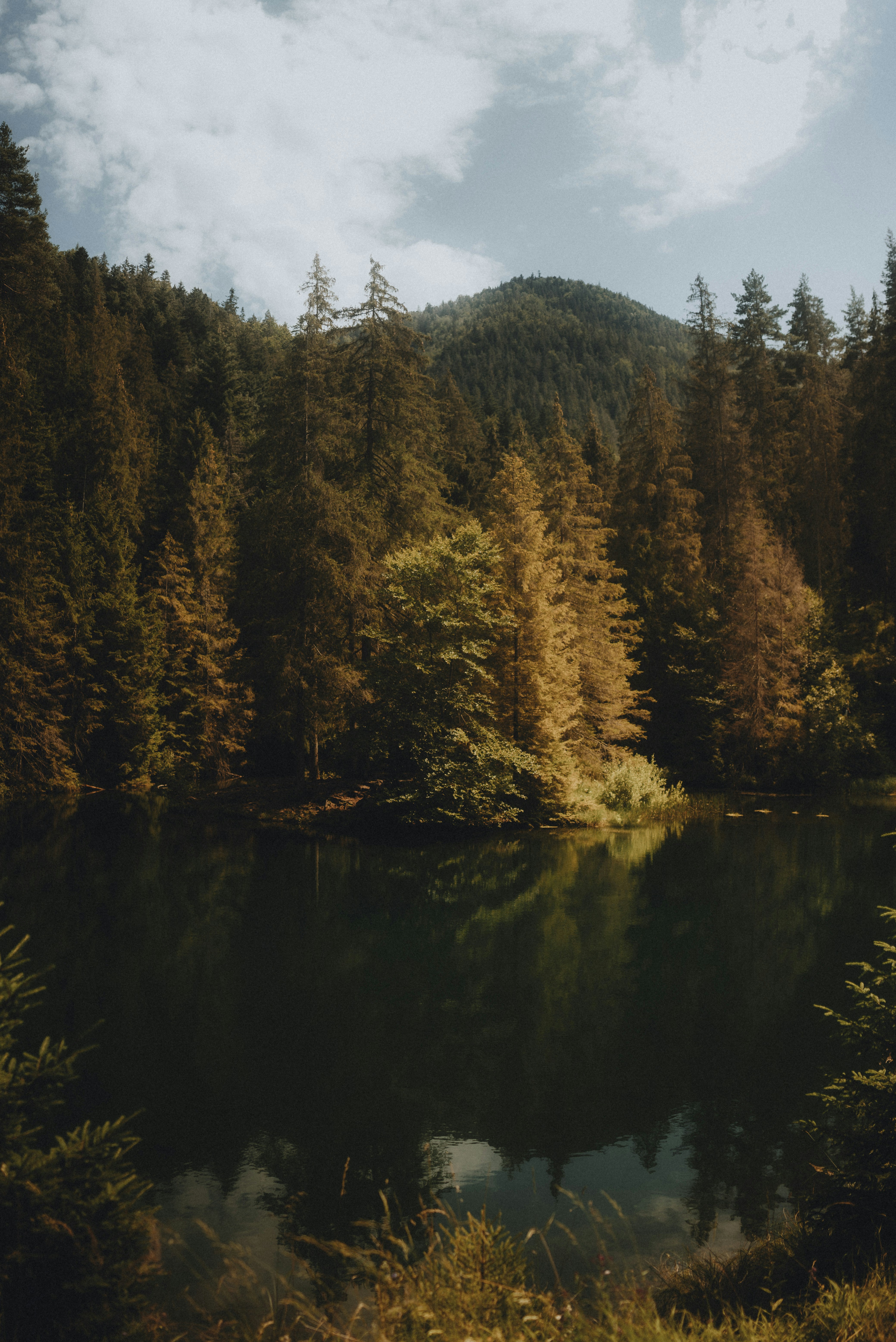 Autumn-Toned Lakewake: A Quiet Forest Mirror