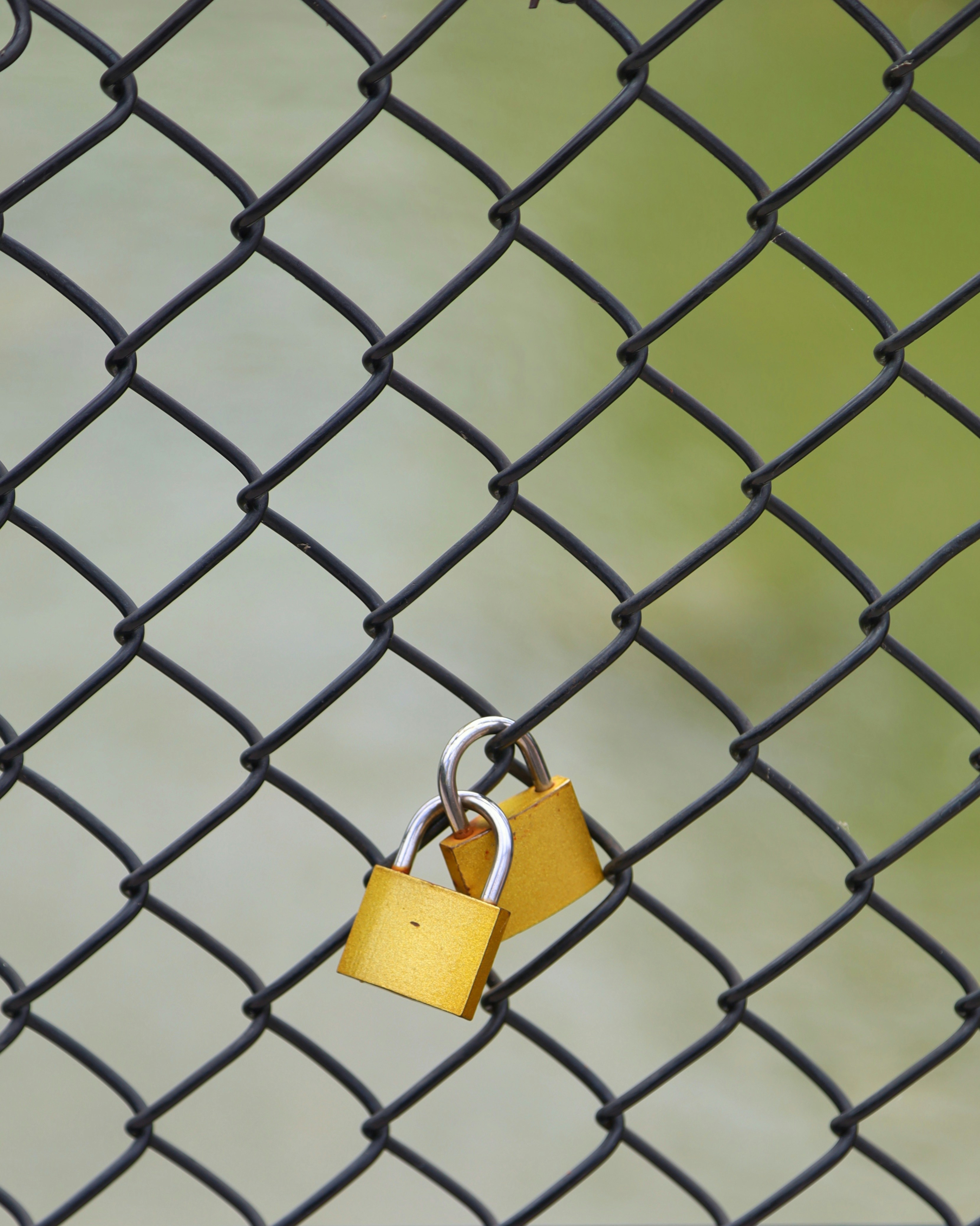 Lock and Lattice: Two Gold Padlocks on a Diamond Chain