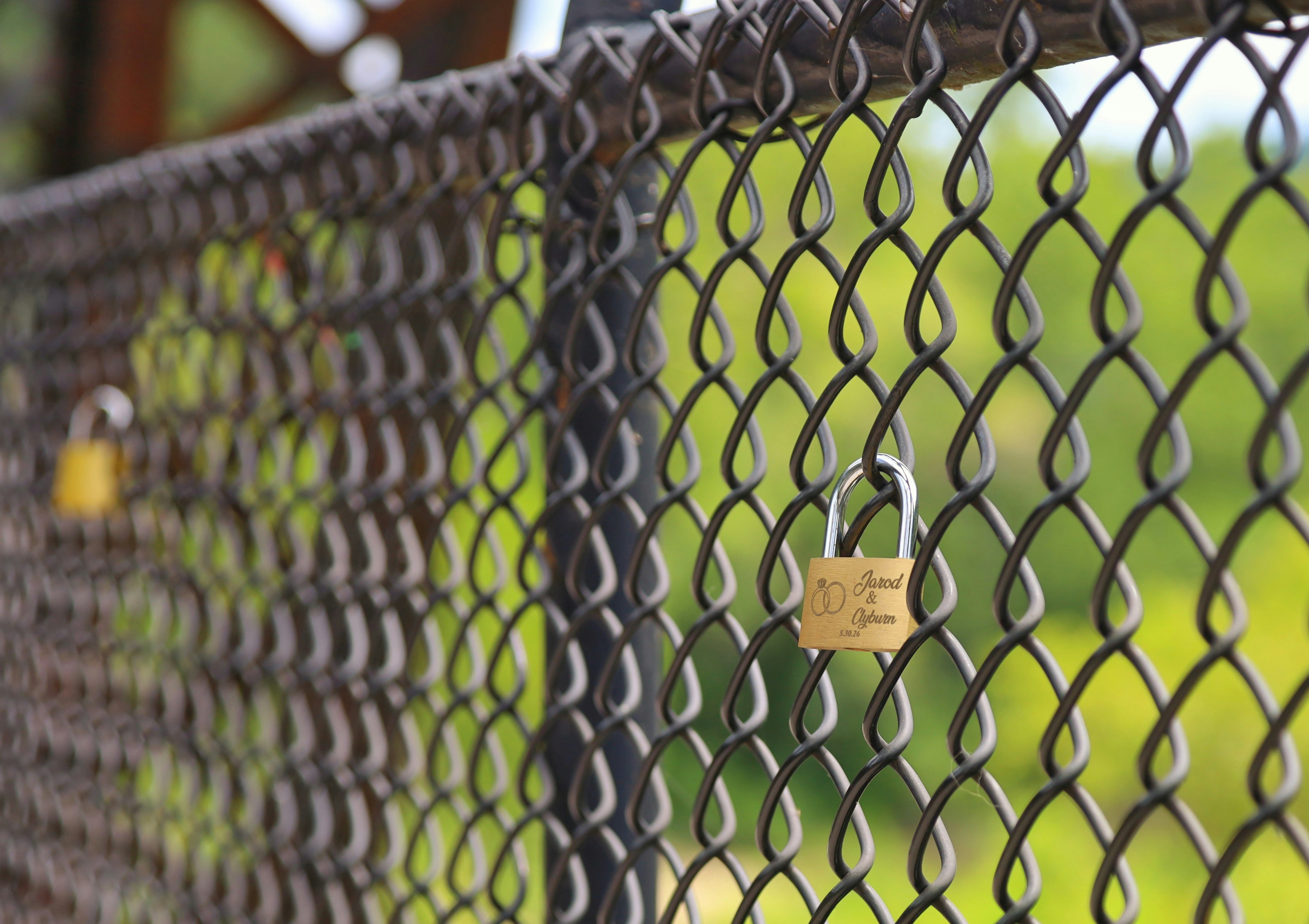 Locked in Place: A Lone Padlock on a Woven Fence