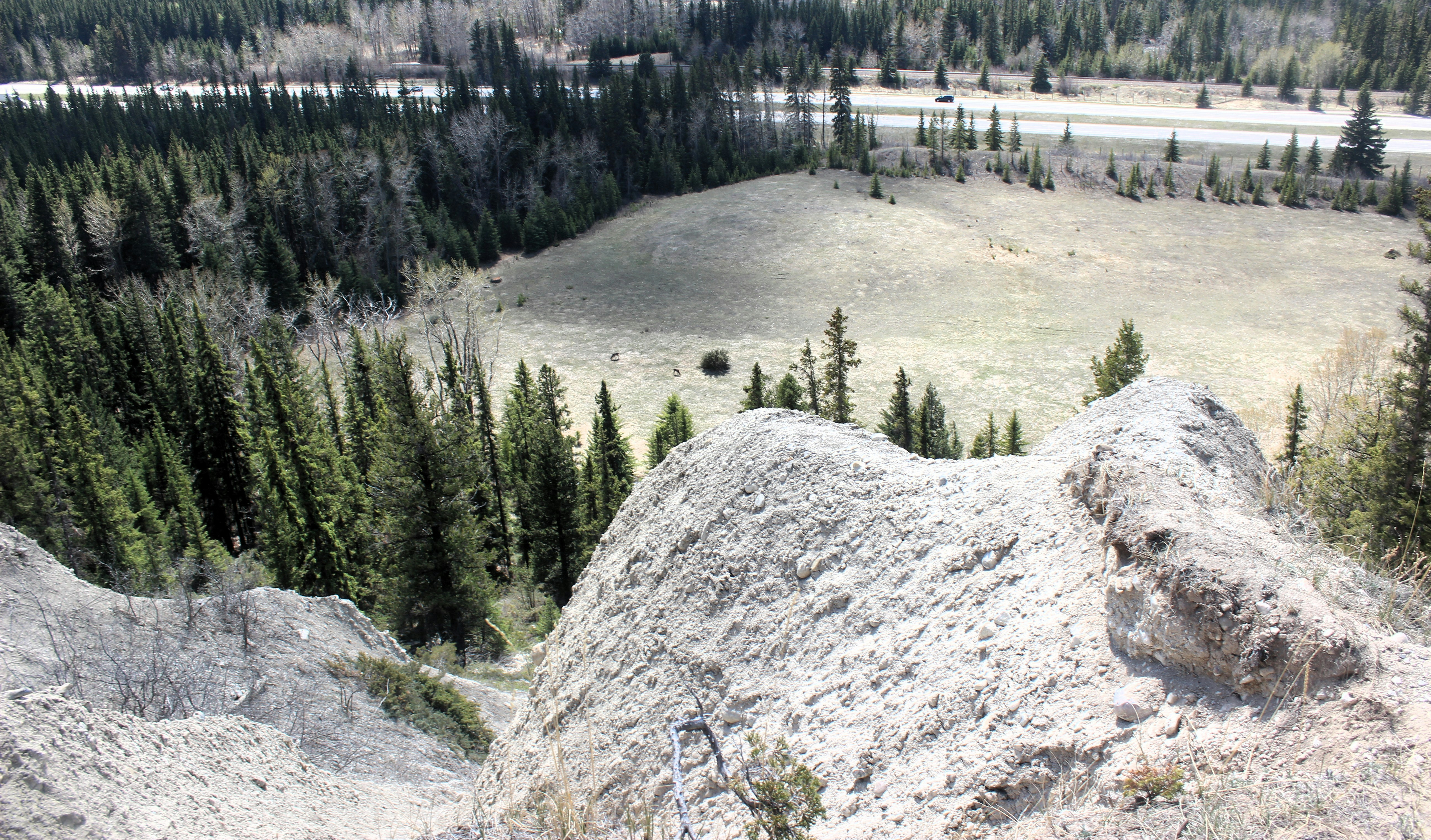 Granite ledge overlooking pine forest and meadow from a sunlit escarpment