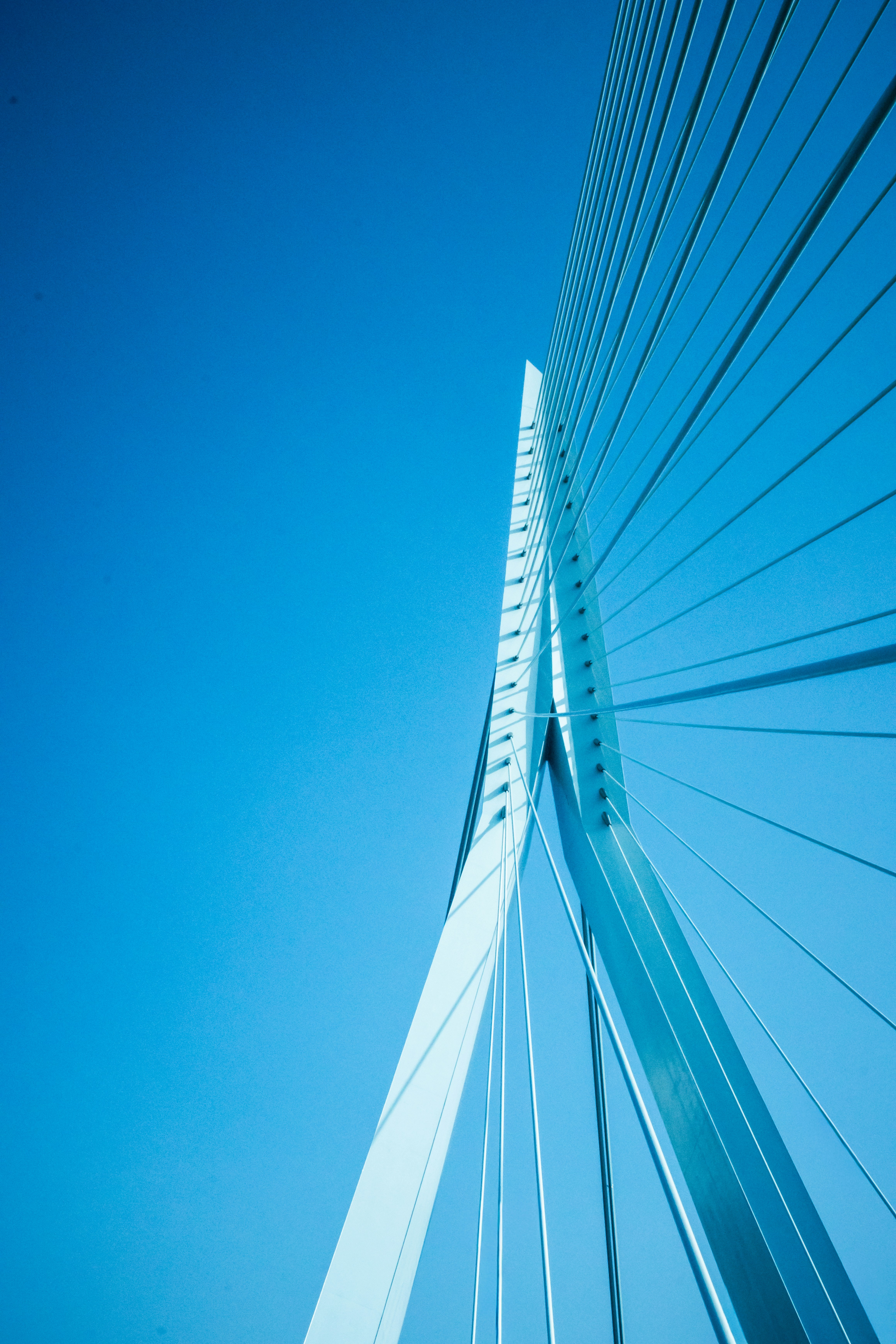 Arc of Steel: A Skyward Slice of a Modern Cable-Stayed Bridge