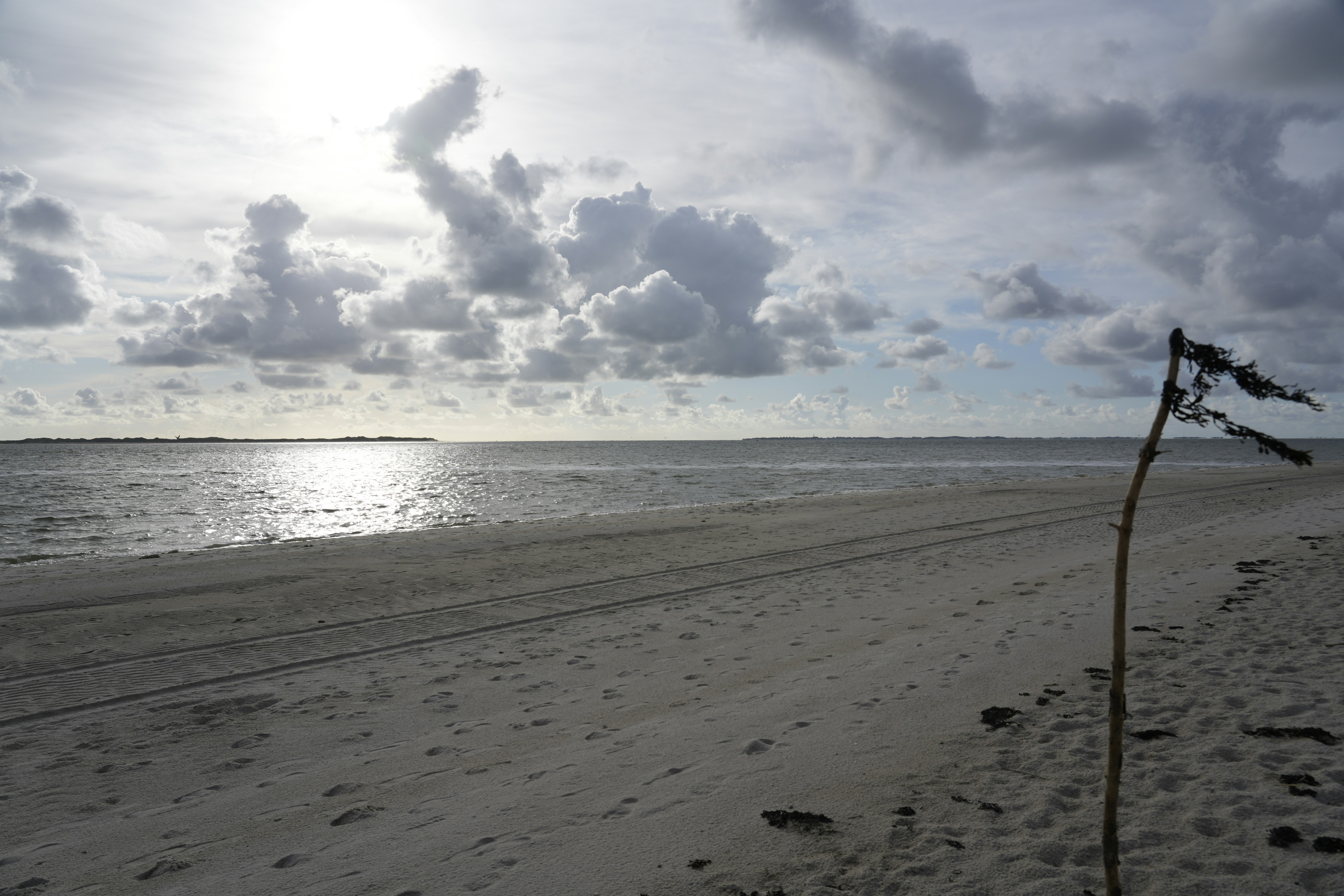 Sunlit Shoreline with Weathered Post on a Quiet Beach