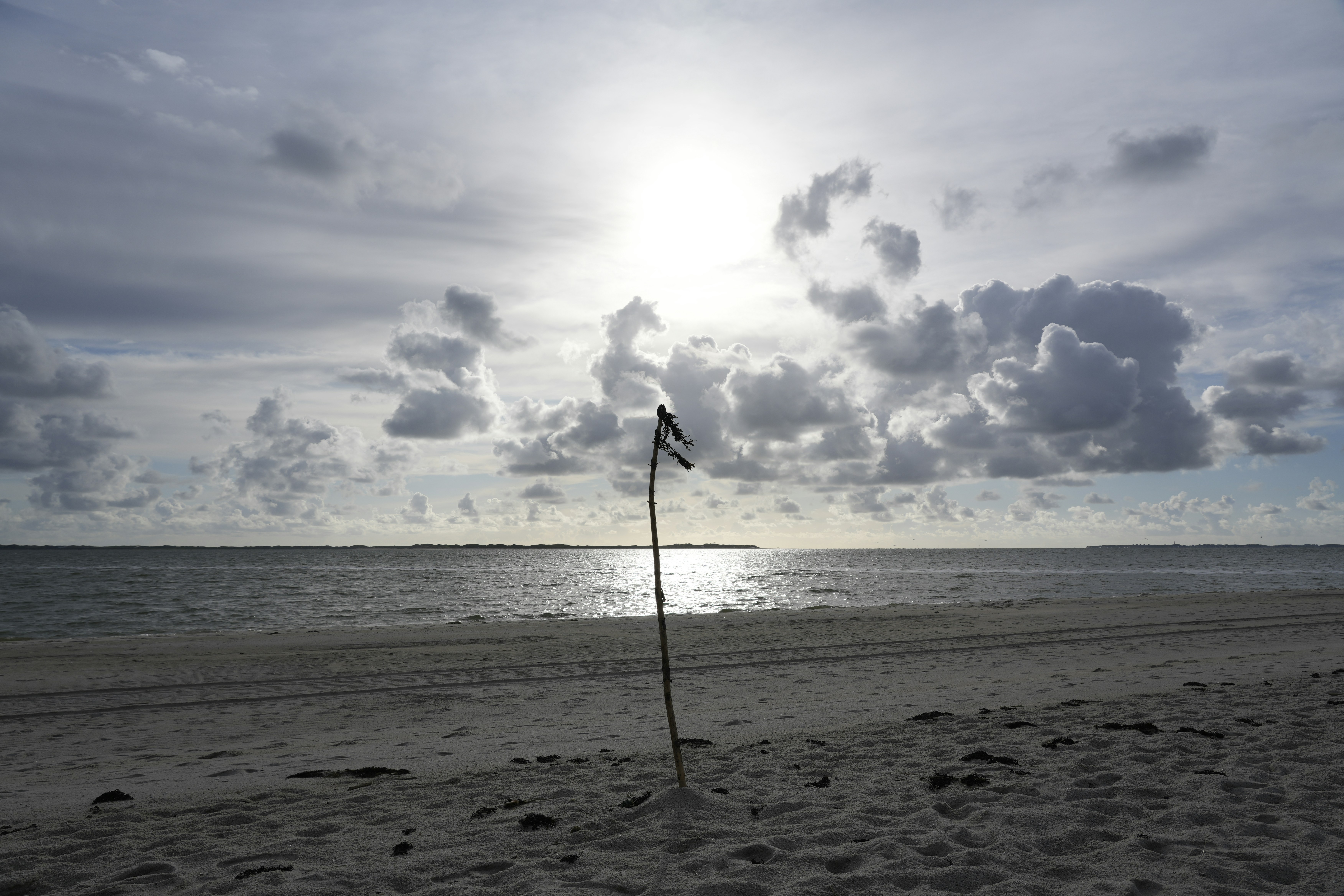 Single Tidal Staff Stands Against a Quiet Ocean Horizon