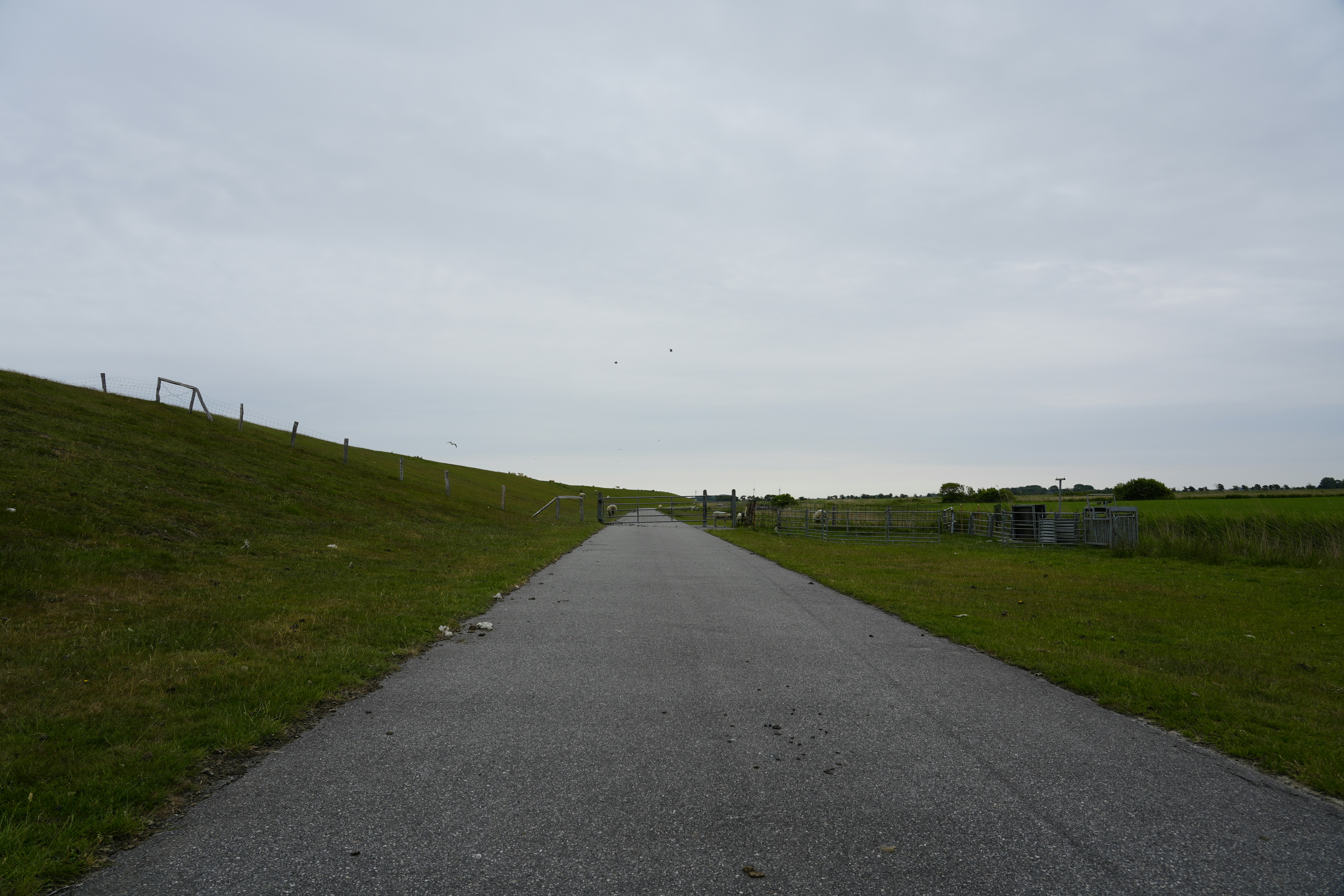 A Quiet Road Opens to Distant Fields