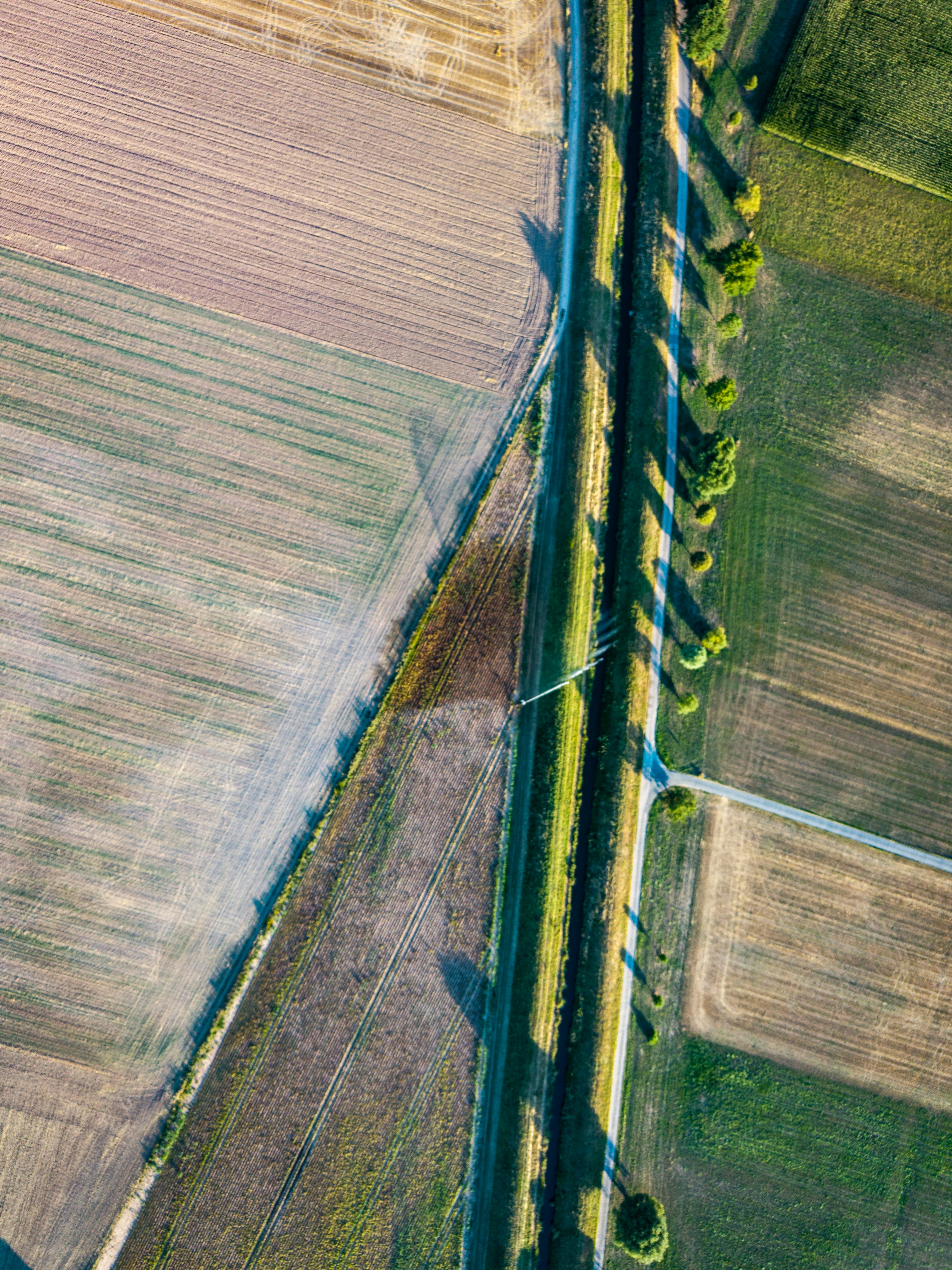Fields in Parallel: Aerial Lines Weaving Through Verdant Borders