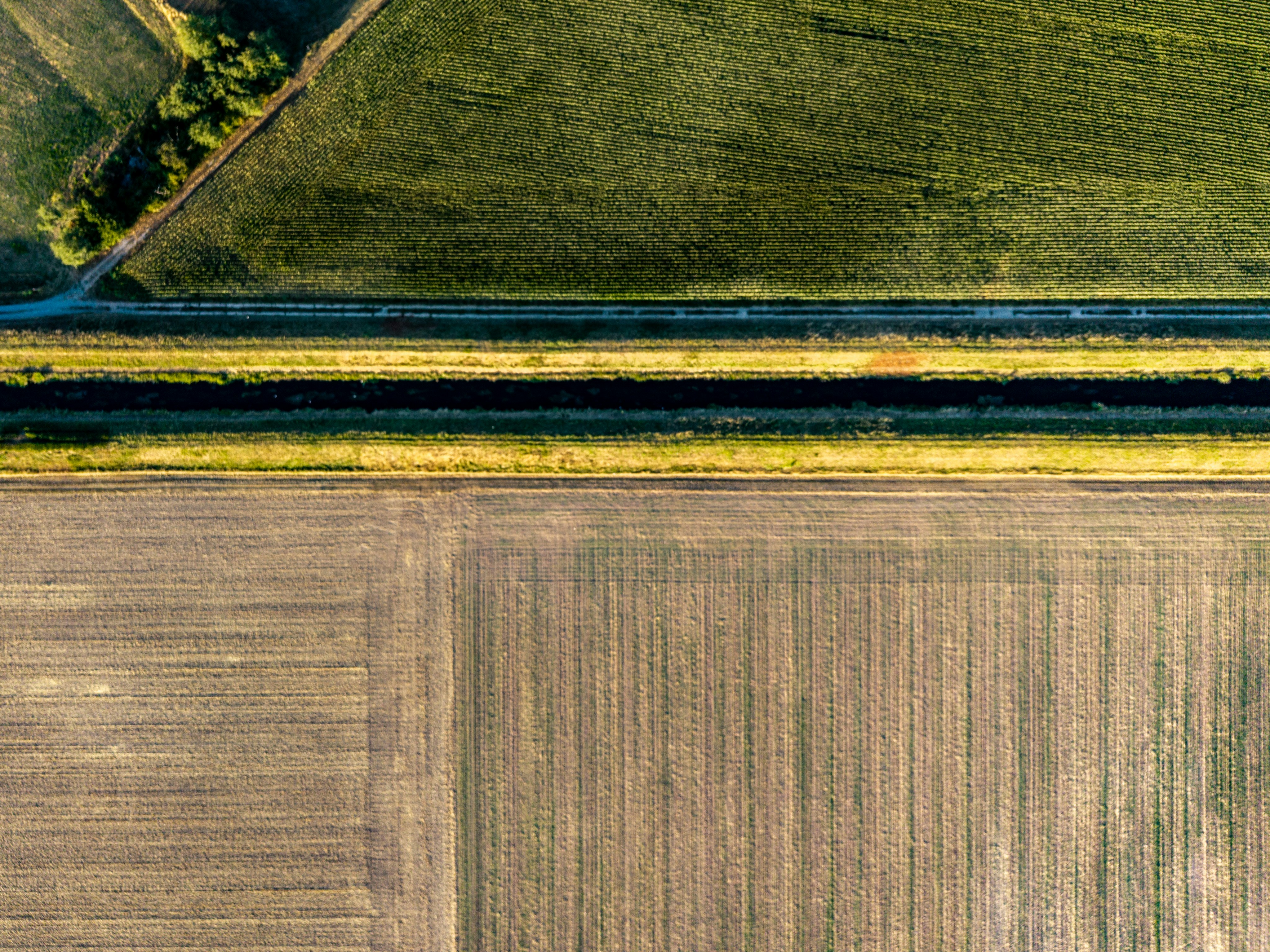 Aerial view of cultivated fields bisected by a road, showing linear furrows and color variance in rectangular plots.