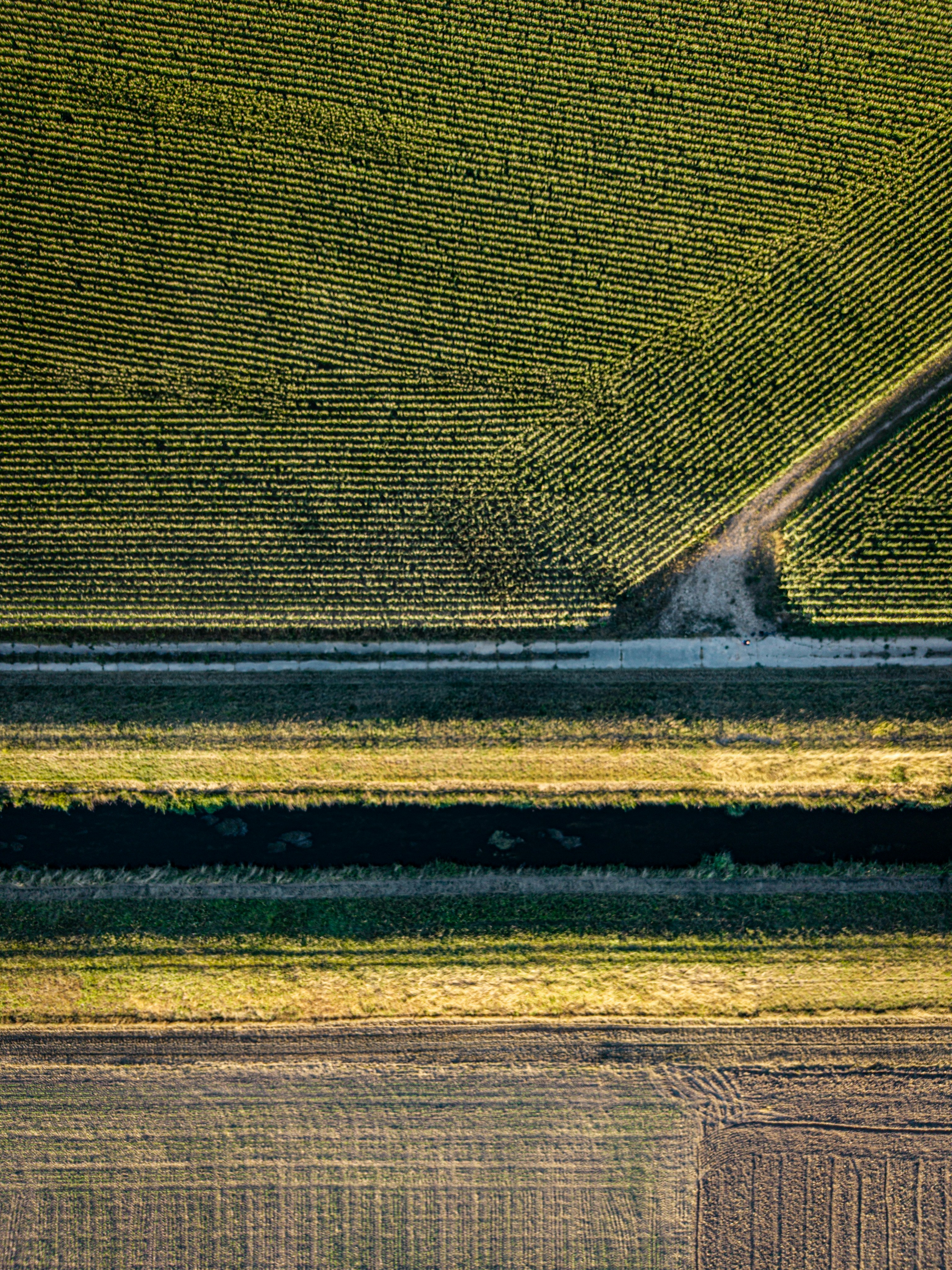 Aerial view of neatly lined agricultural fields with a dirt path crossing diagonally; a narrow road runs along the lower edge, revealing layers of furrows and tonal variation. Appears as a geometric landscape into a distant horizon.