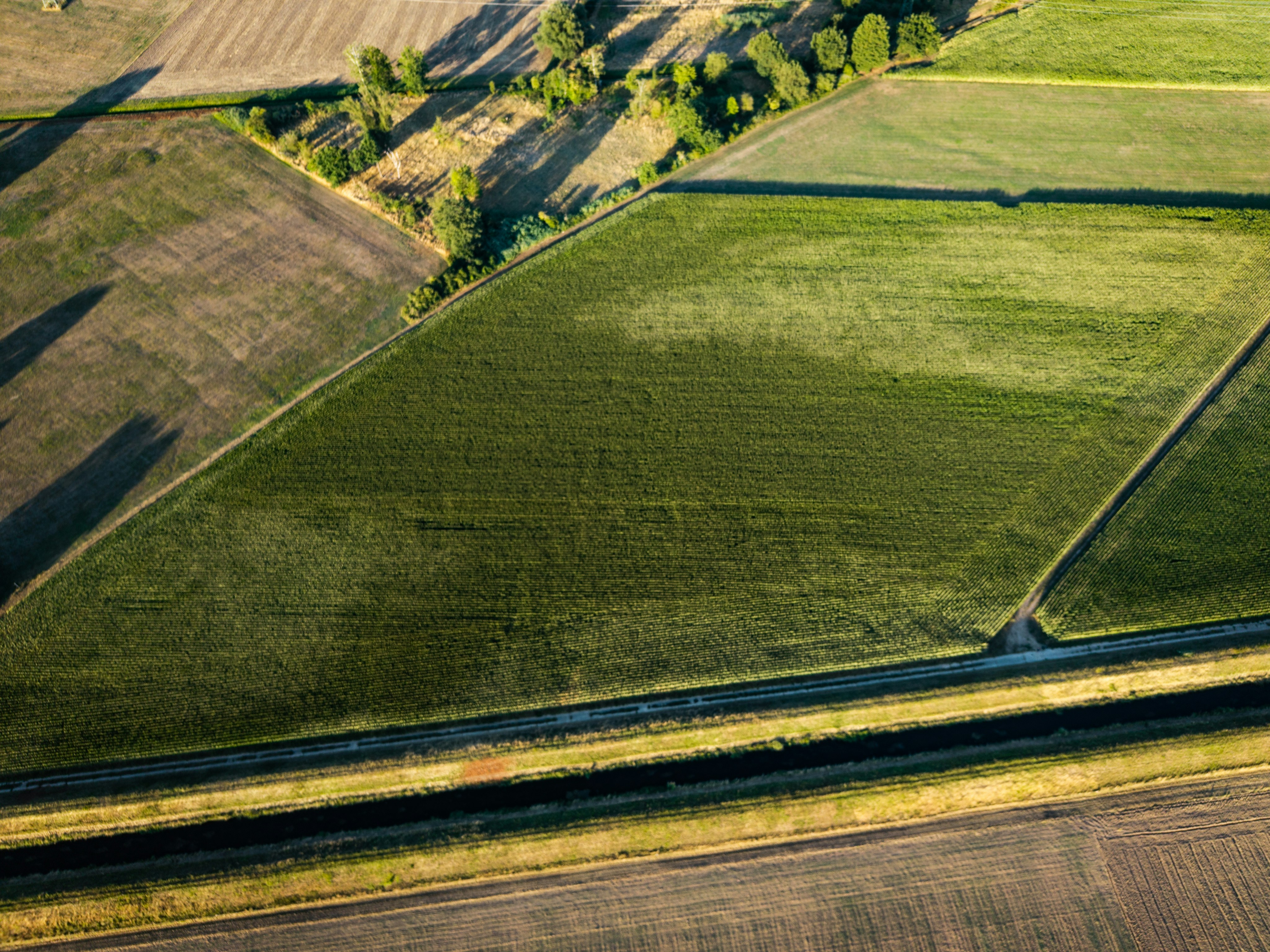 Aerial Patchwork: Fields Defined by Light and Shadow