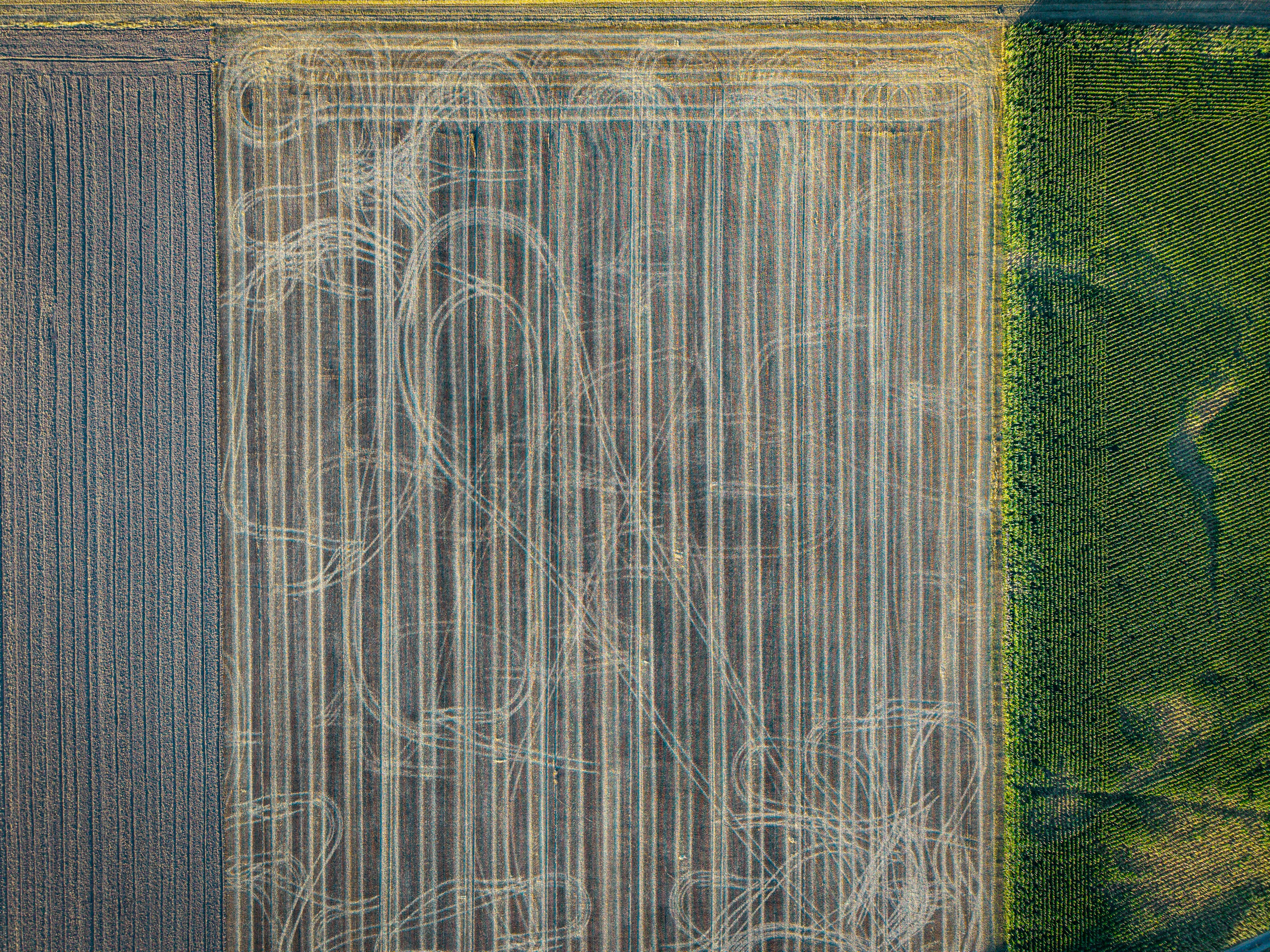 Abstract Field Whorls: Aerial Traces of Invisible Machinery