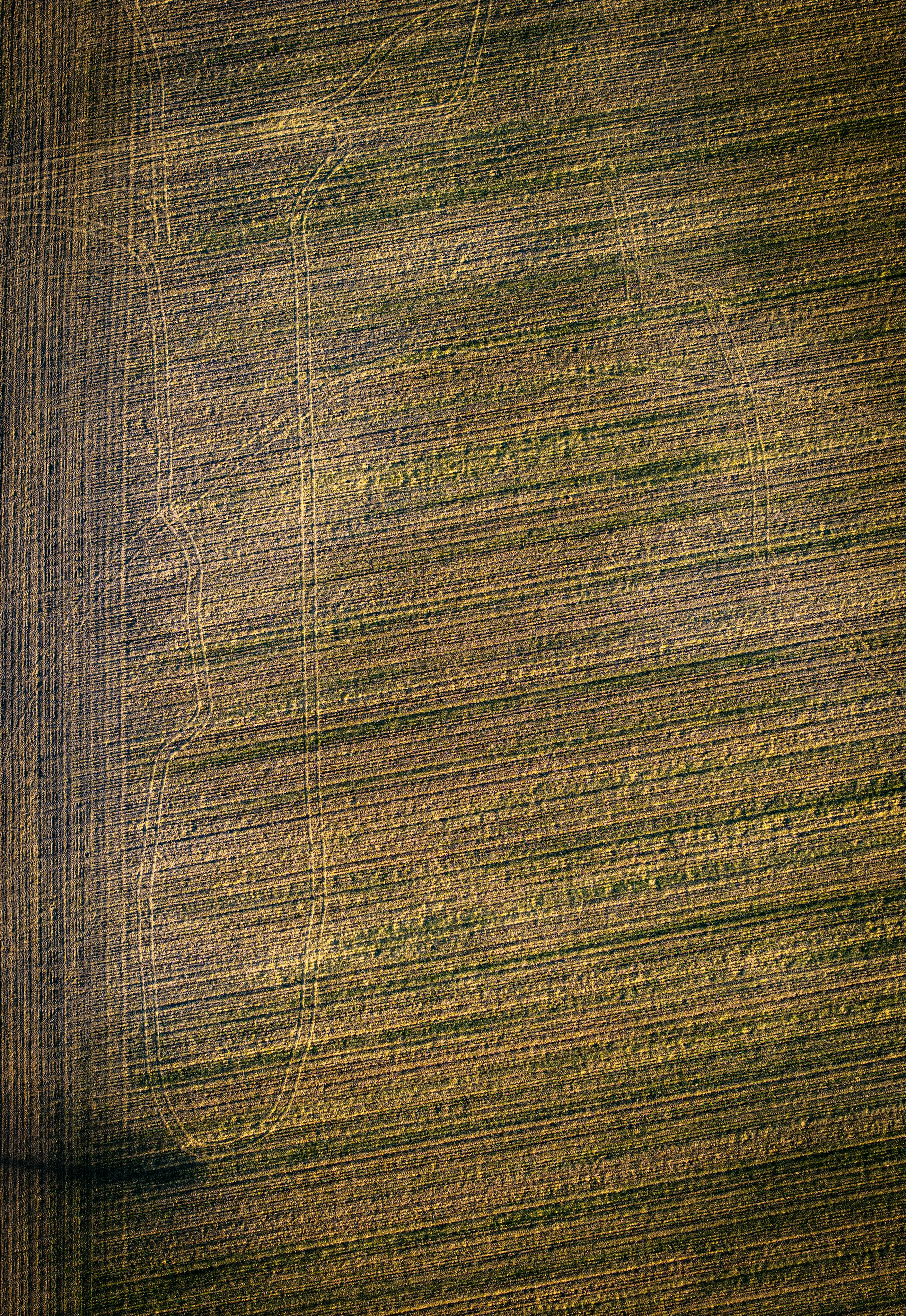 Plowed Field Veins: Abstract Lines from Above