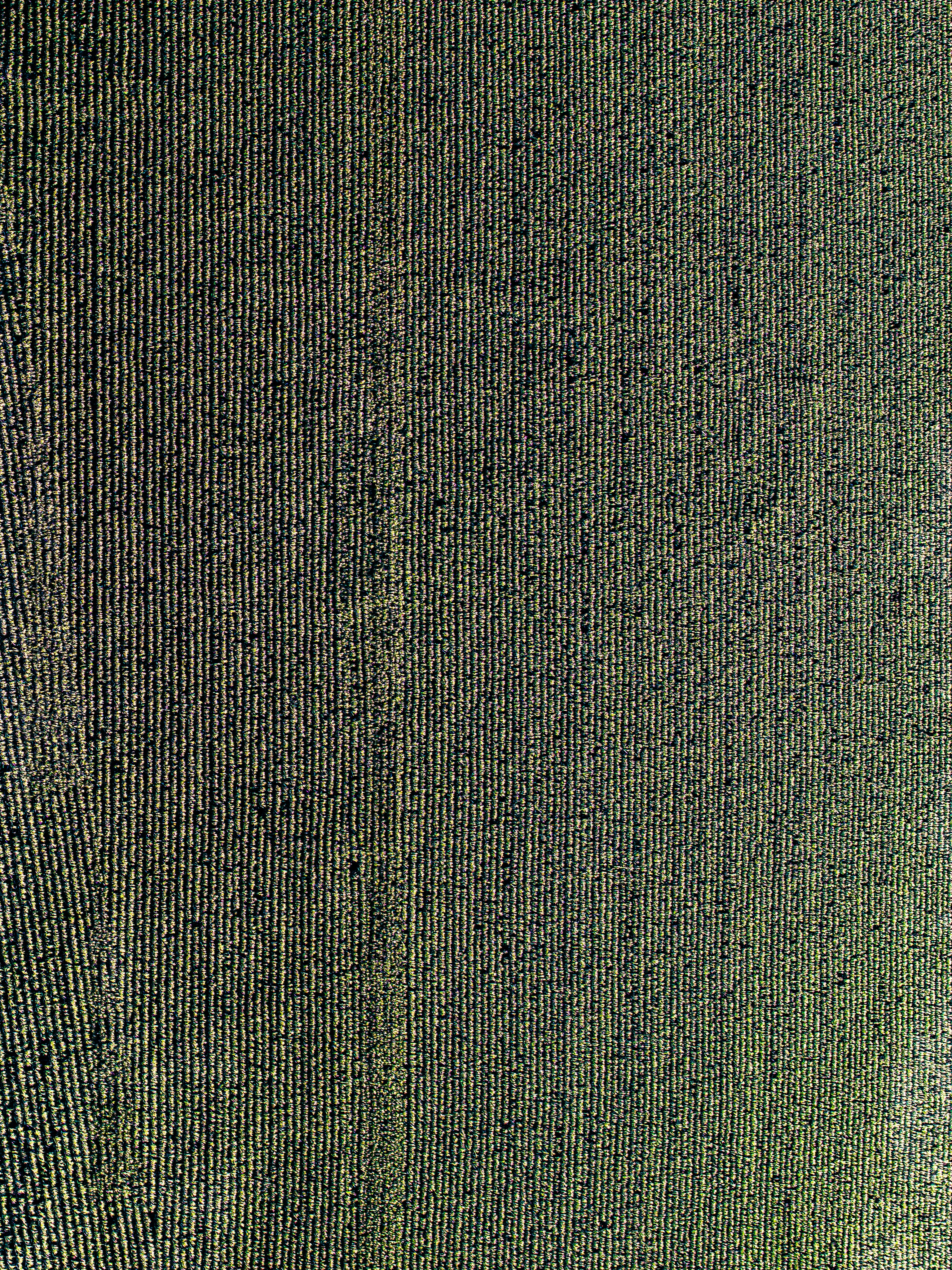 Textured Uniformity: A Portrait of Grain and Pattern