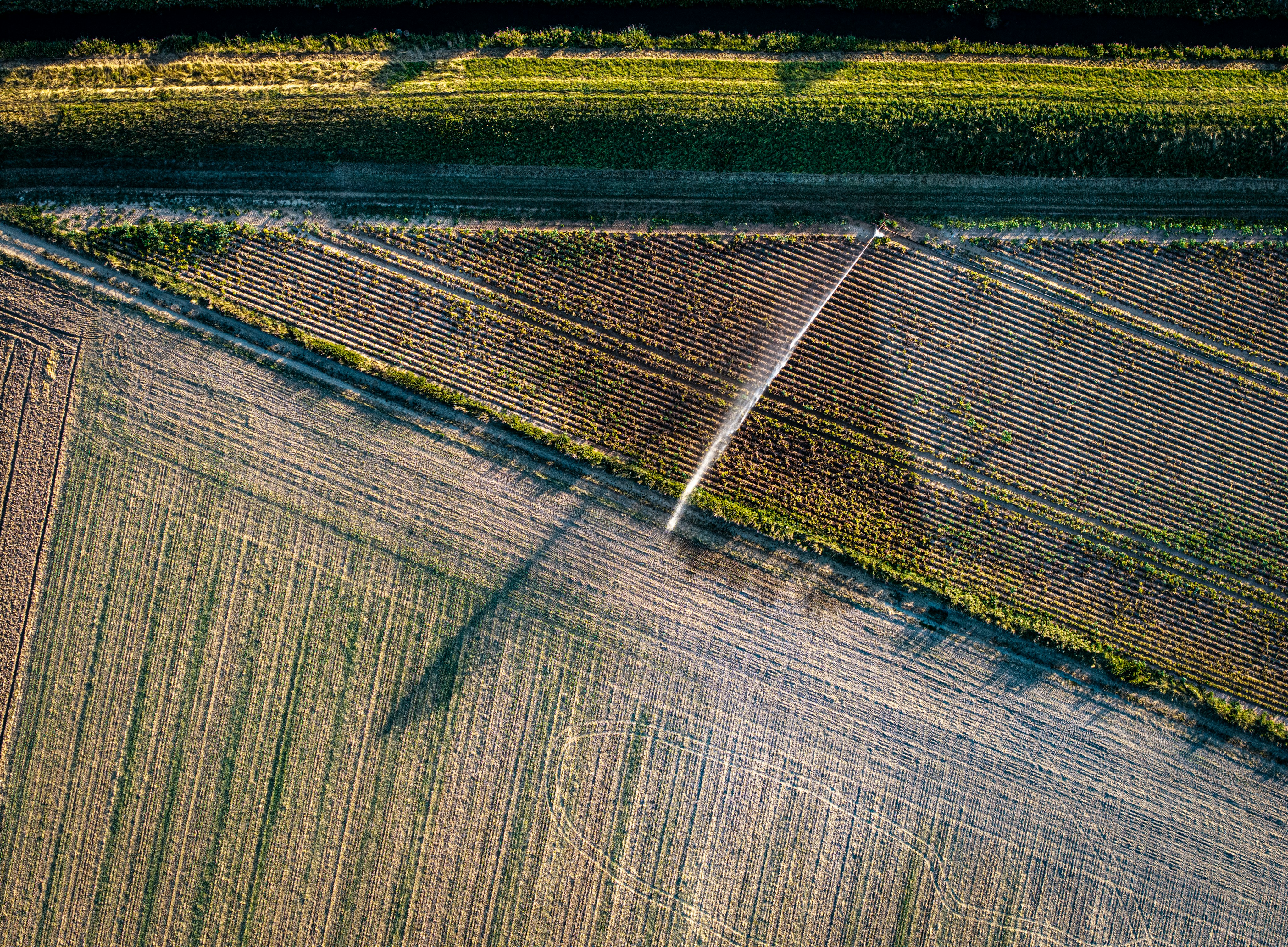 Parceled Fields Crossfade Under a Linear Shadow