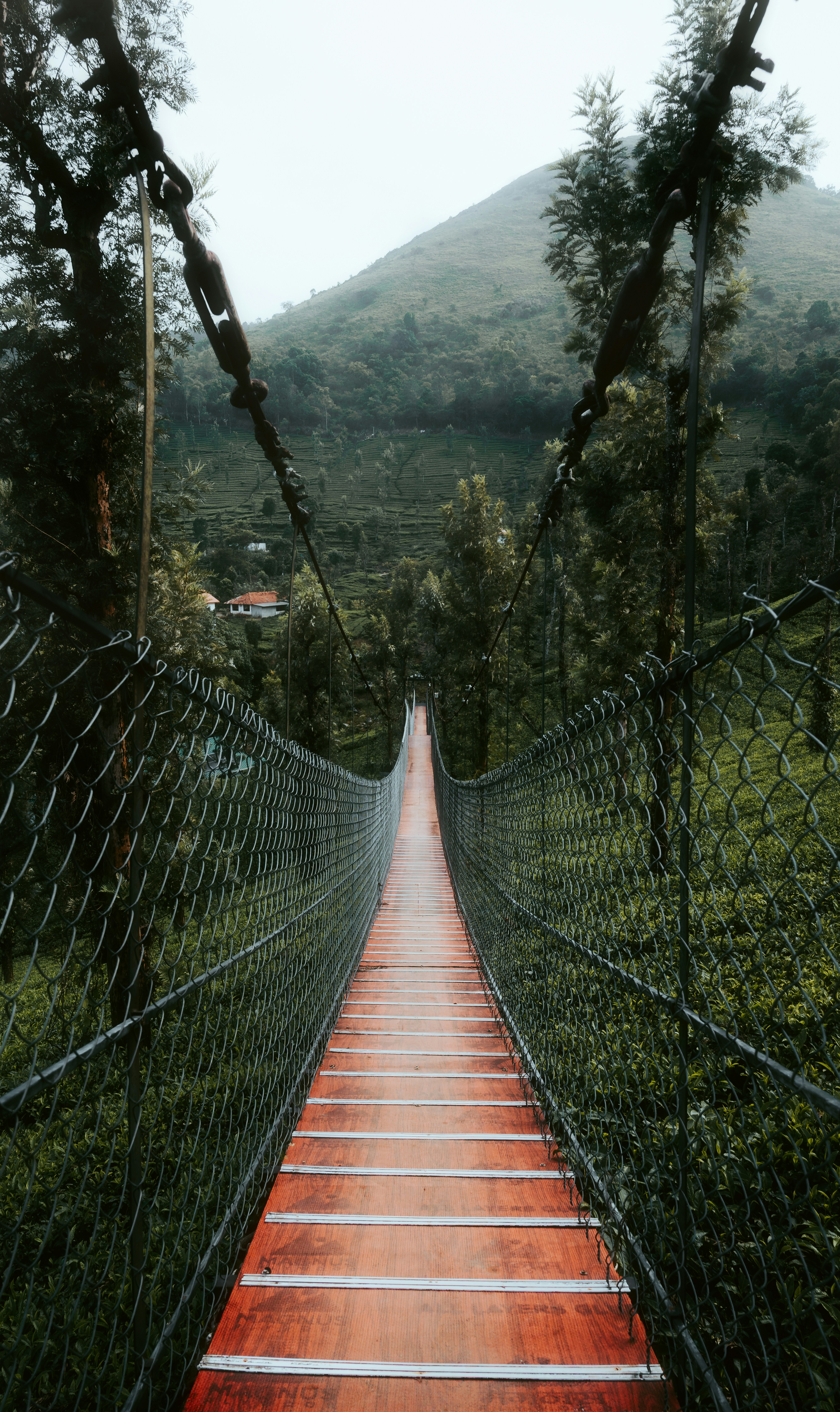 Red Timber Path: A Long Suspended Walk Through Green Valleys