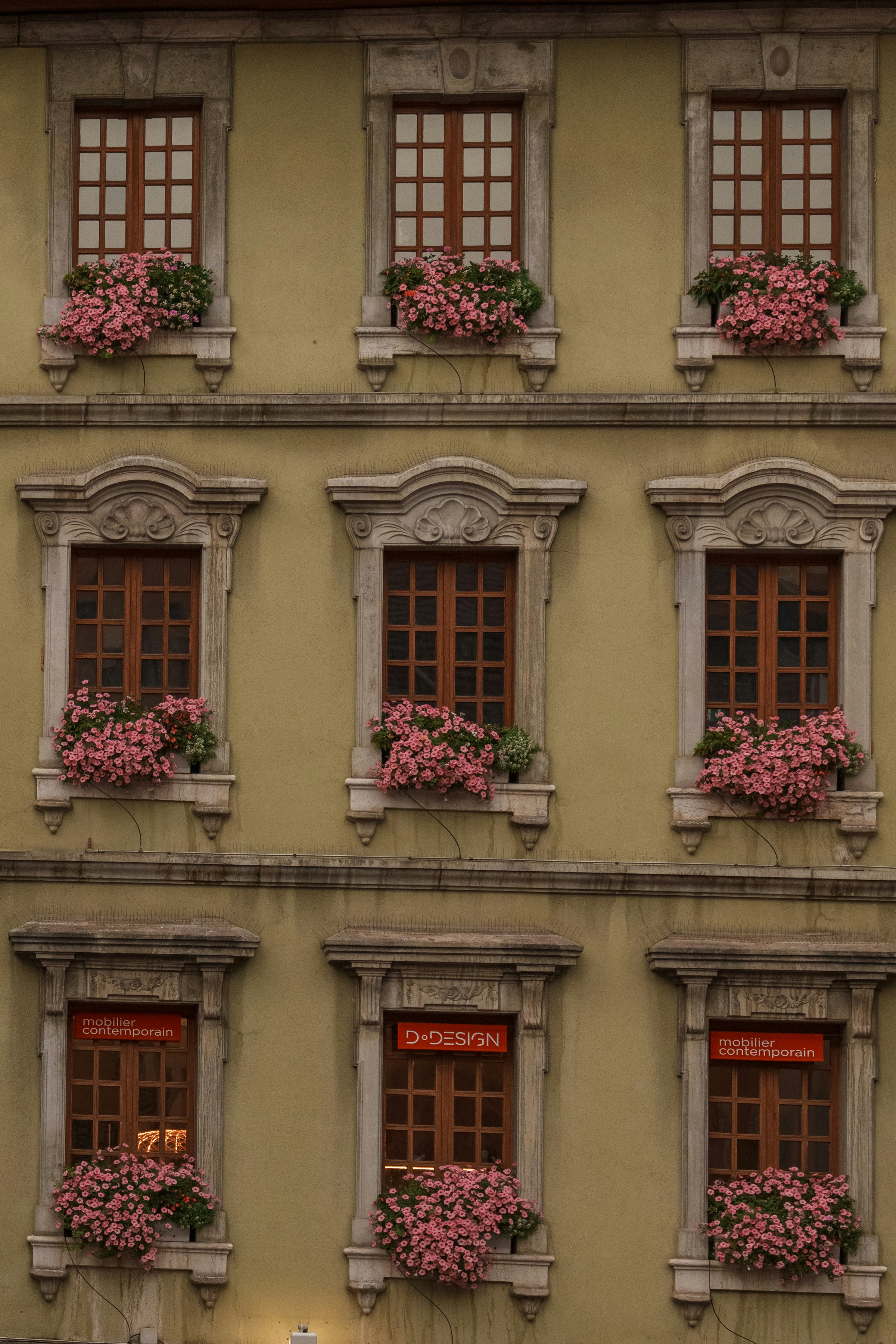Floral Grids: A Facade of Window Boxes and Pink Blooms