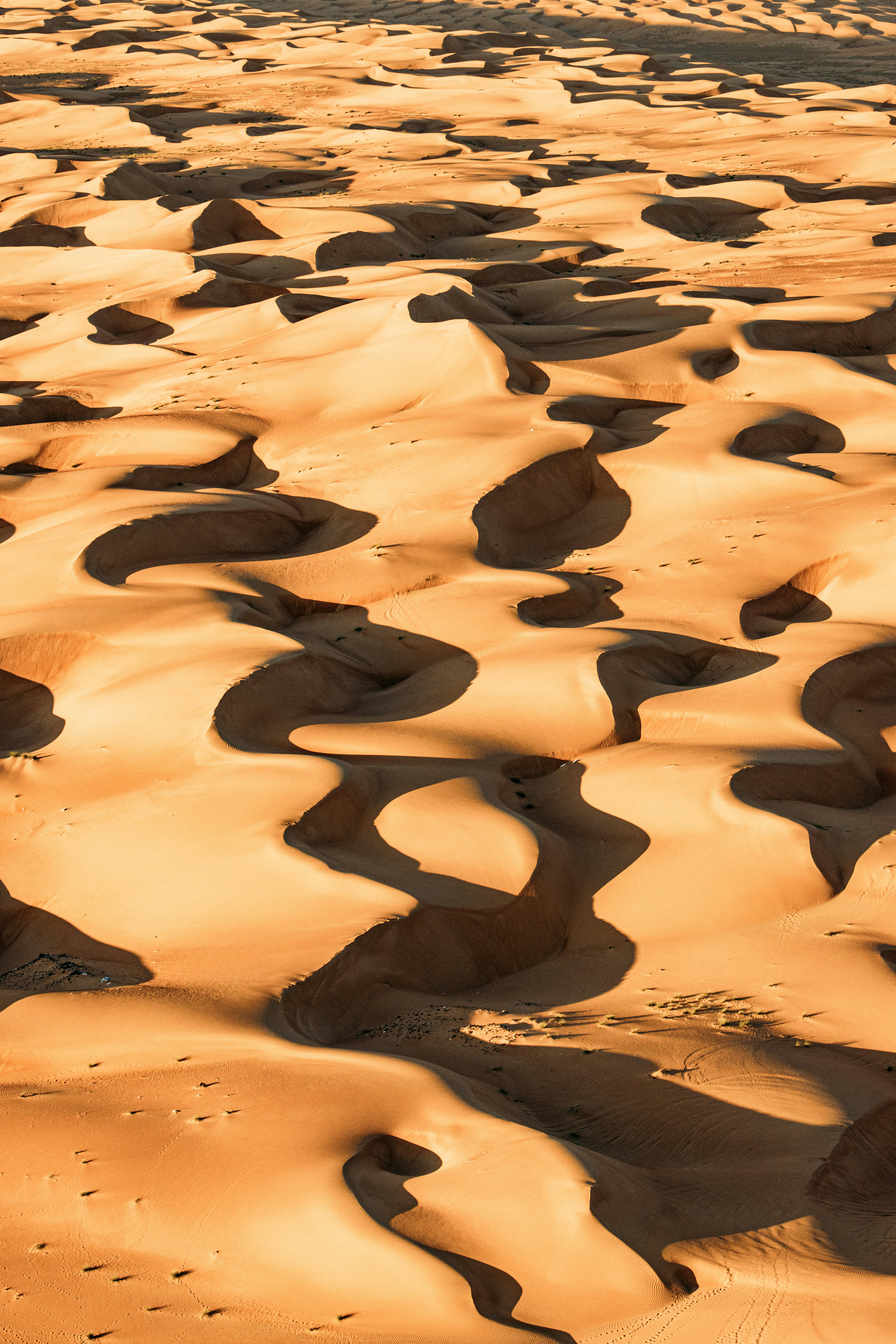 Waves of Heat: Dune Ripples in Golden Light