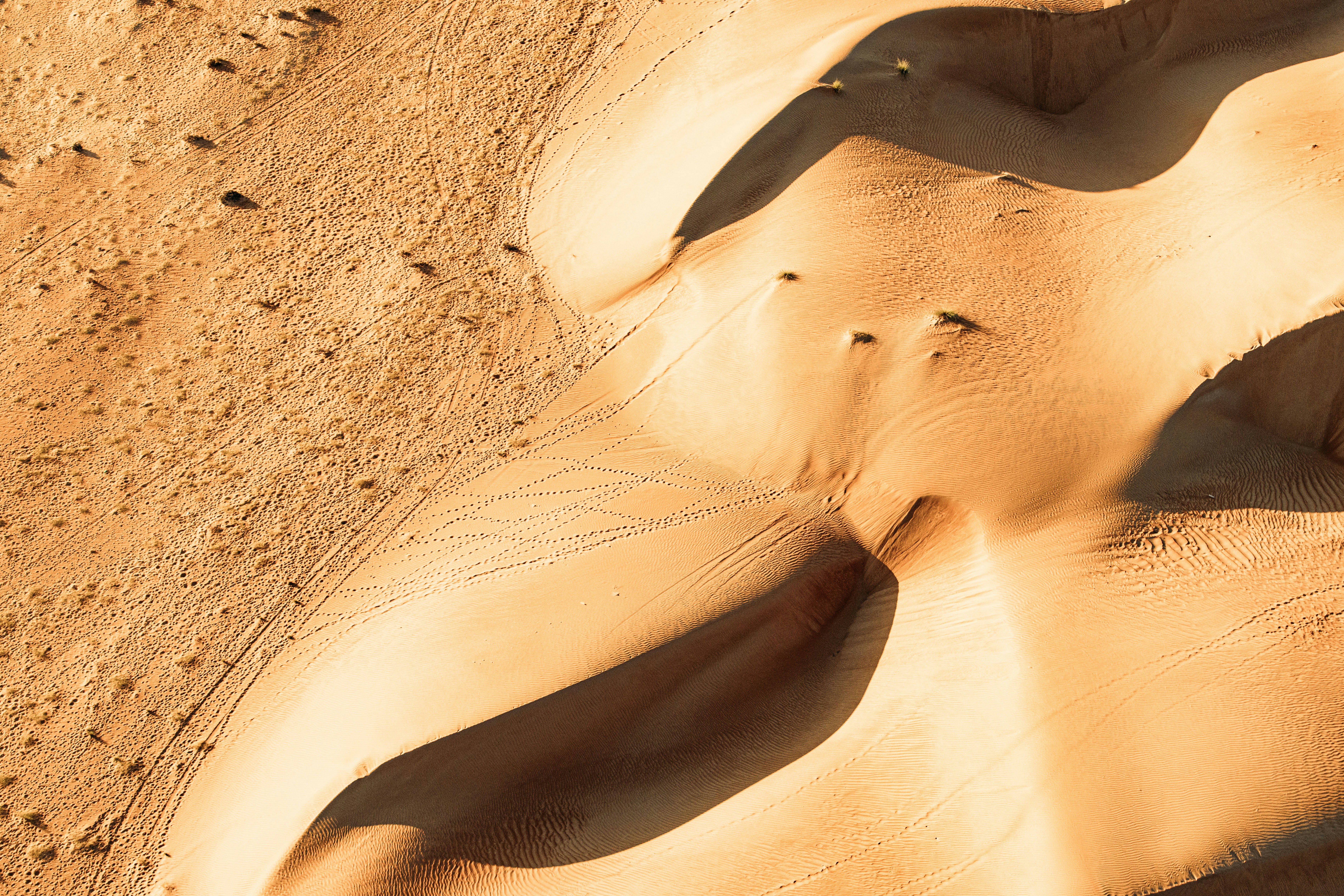 Desert Dunes: Wind-Sculpted Whorls and Quiet Shadows