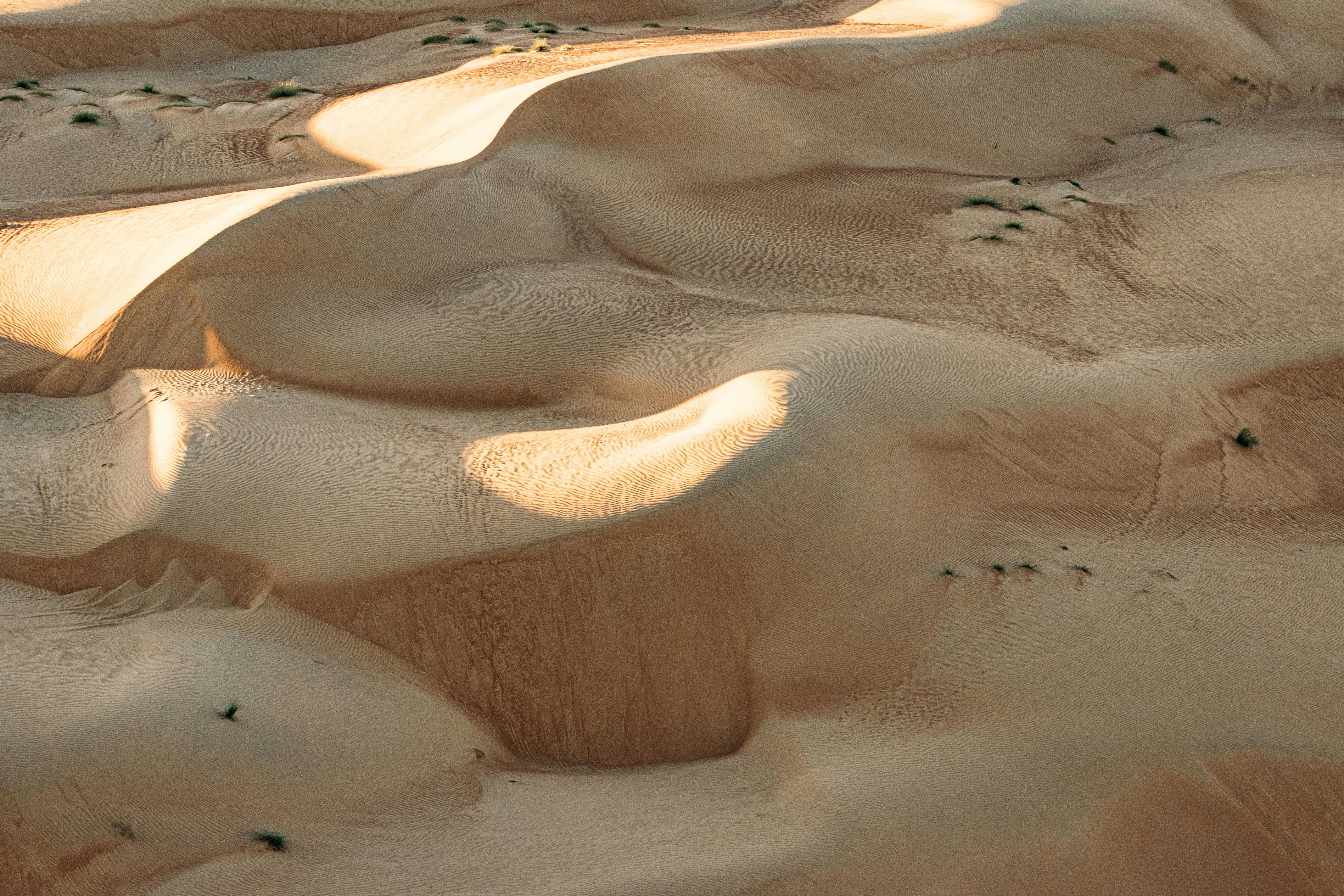 Golden Dunes: Touches of Light on Carved Sand