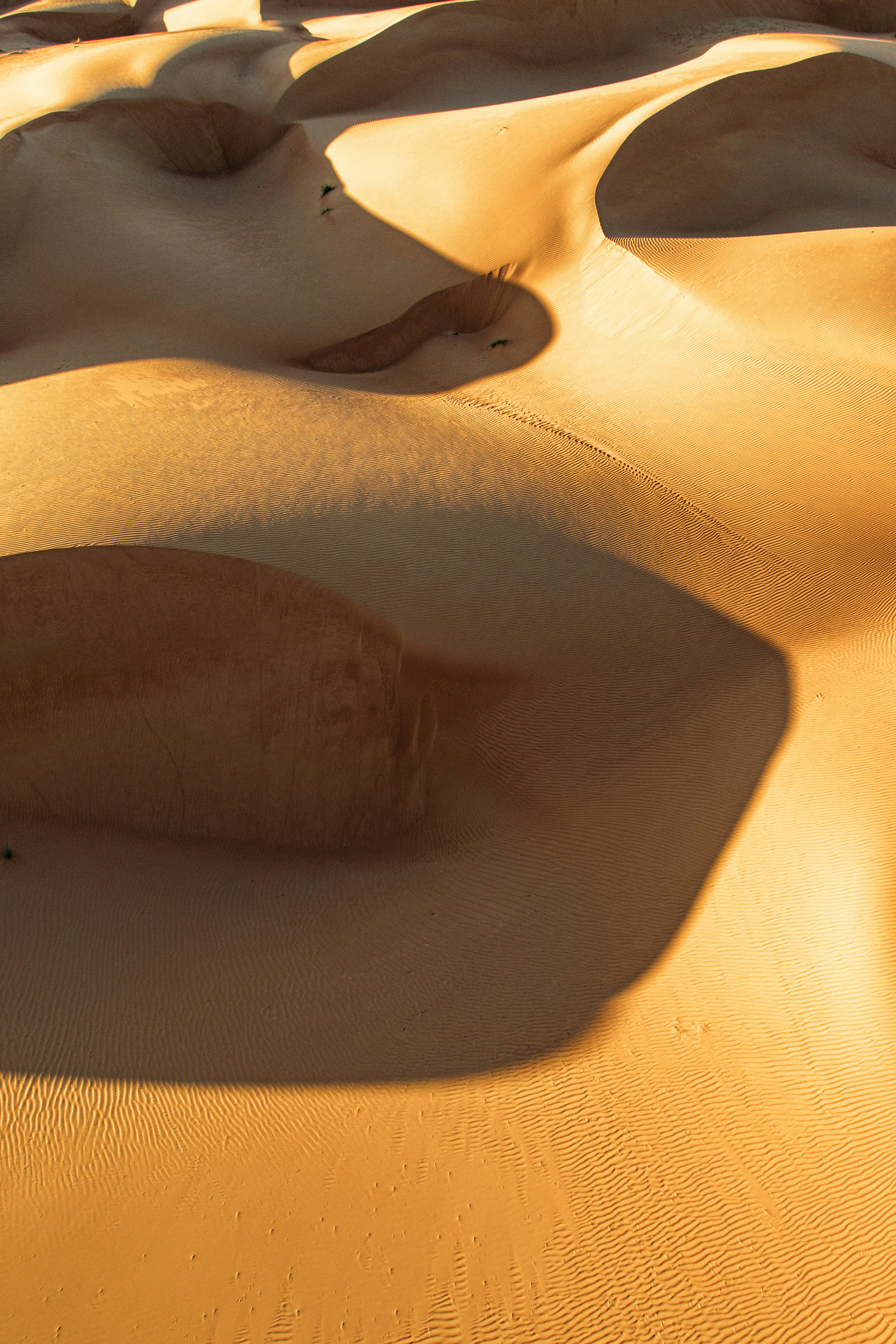 Golden Dunes in Quiet Light