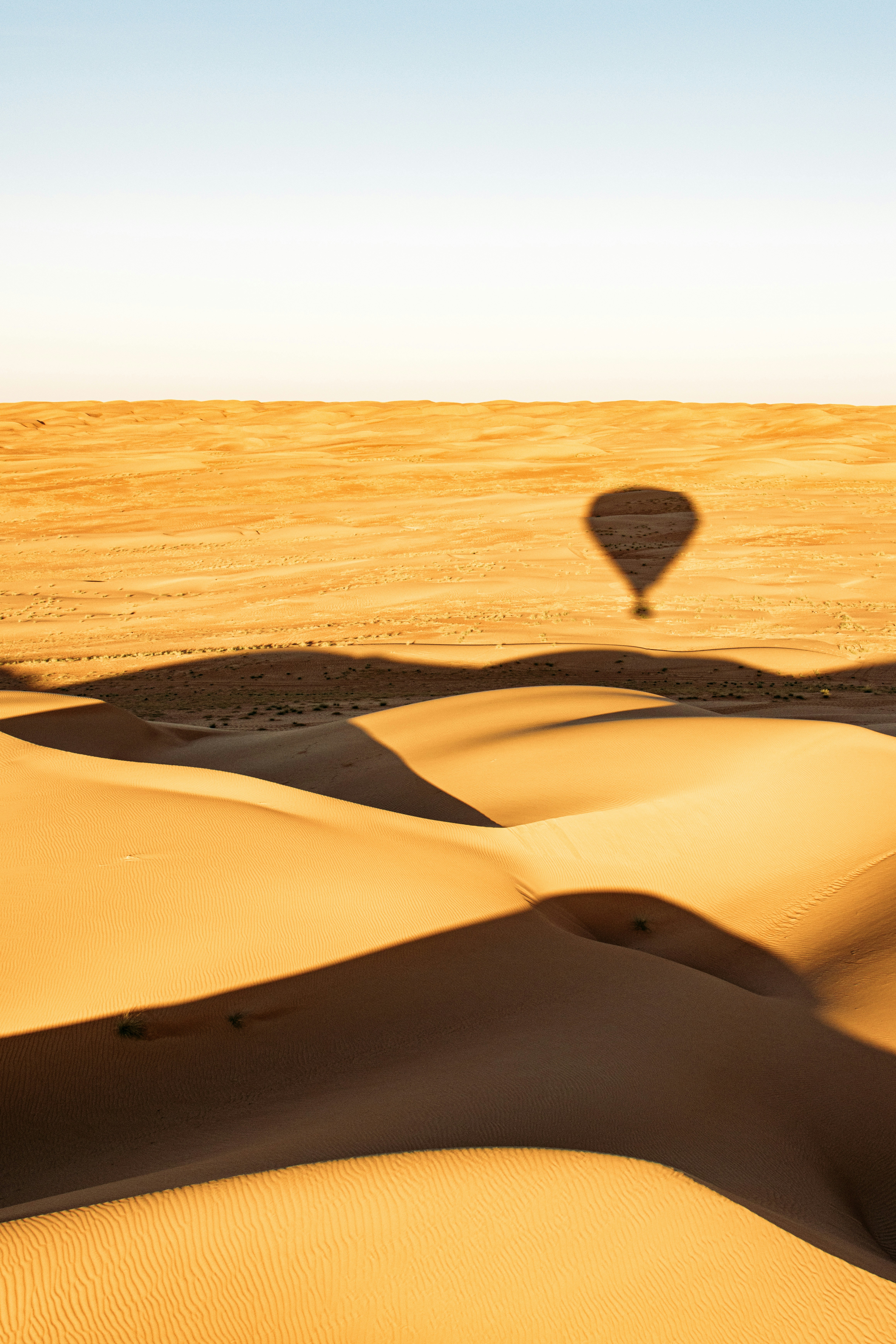 Shadow Catcher Over Golden Dunes