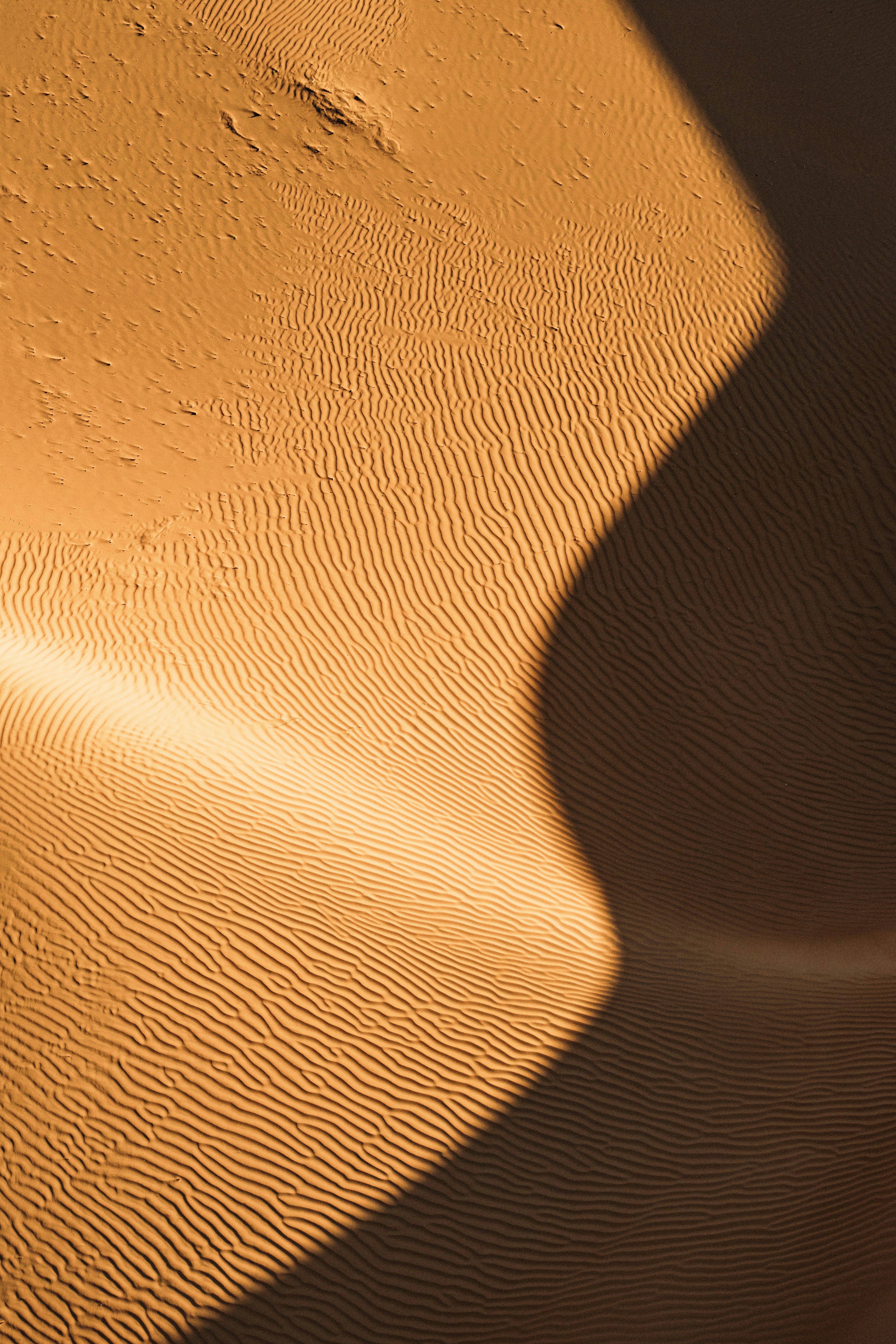 Curved Shadow over Golden Dunes