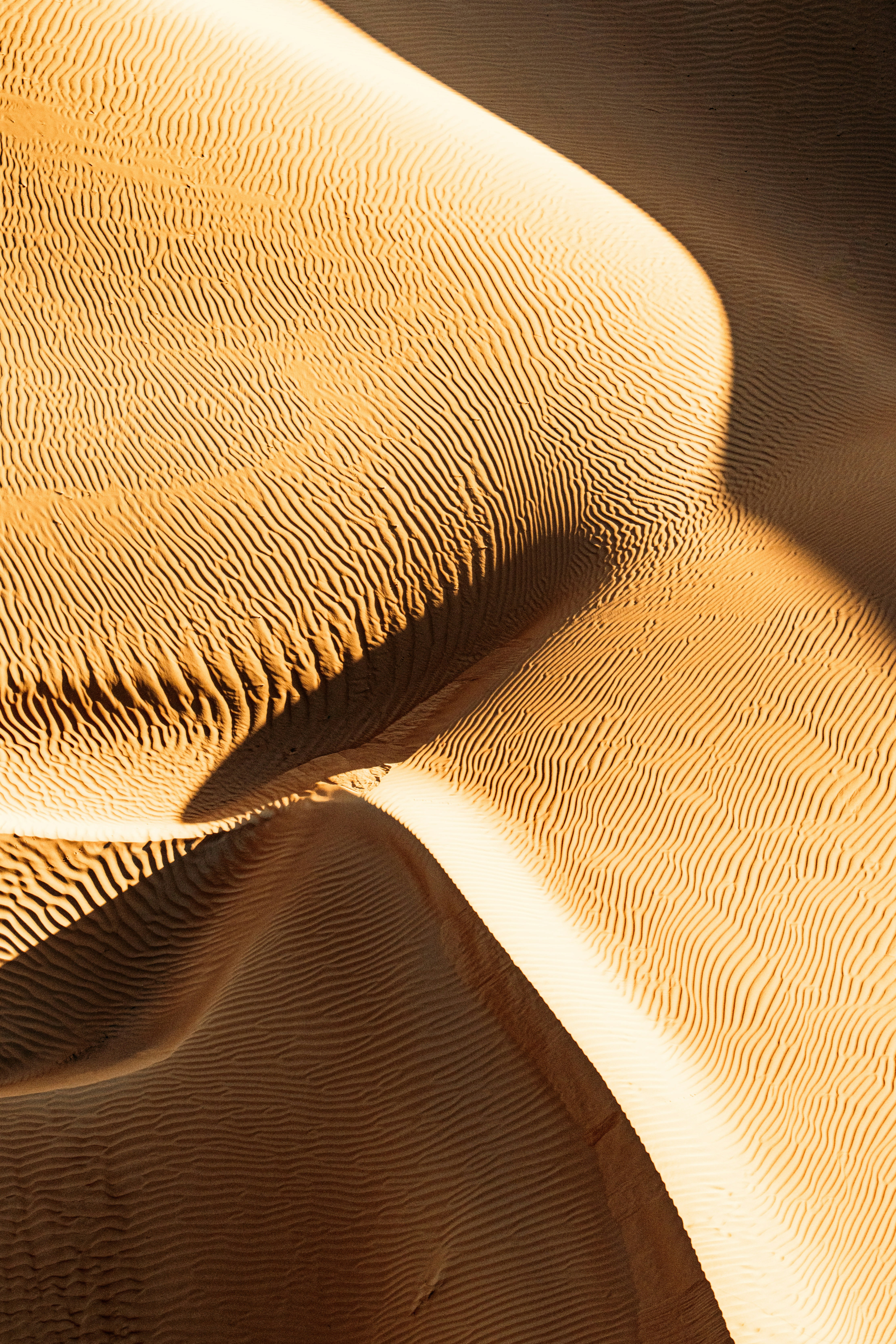 Wind-sculpted Dunes: Golden Ripples and Shifting Shadows