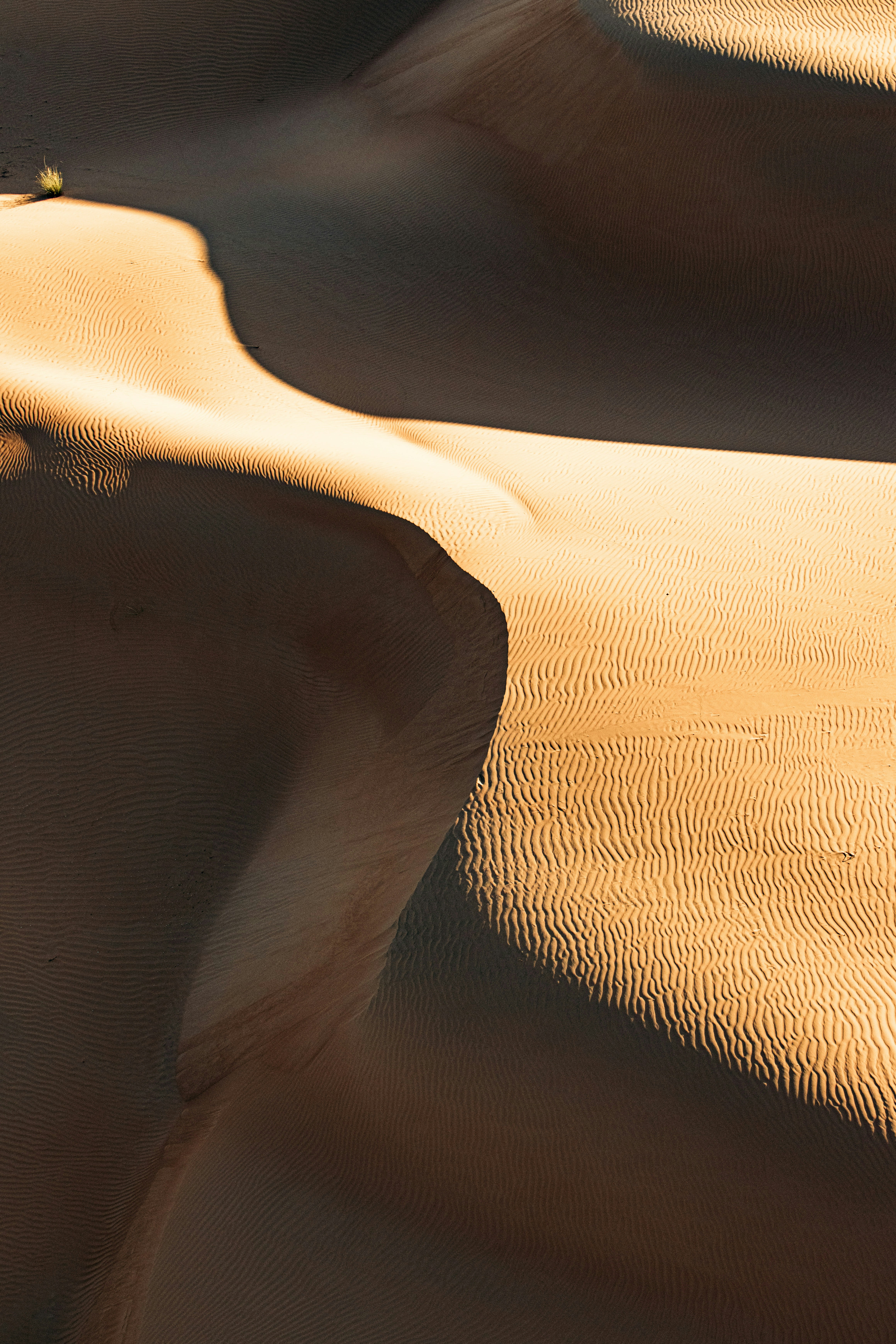 Whispering Dunes: Light Alone Carves the Silence