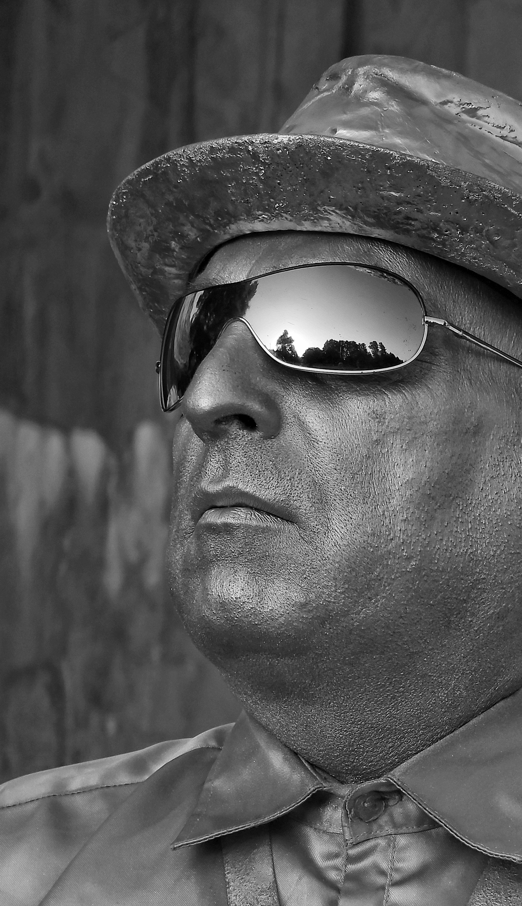 Steel-eyed Wrangler: A Quiet Portrait in Chrome-Silver