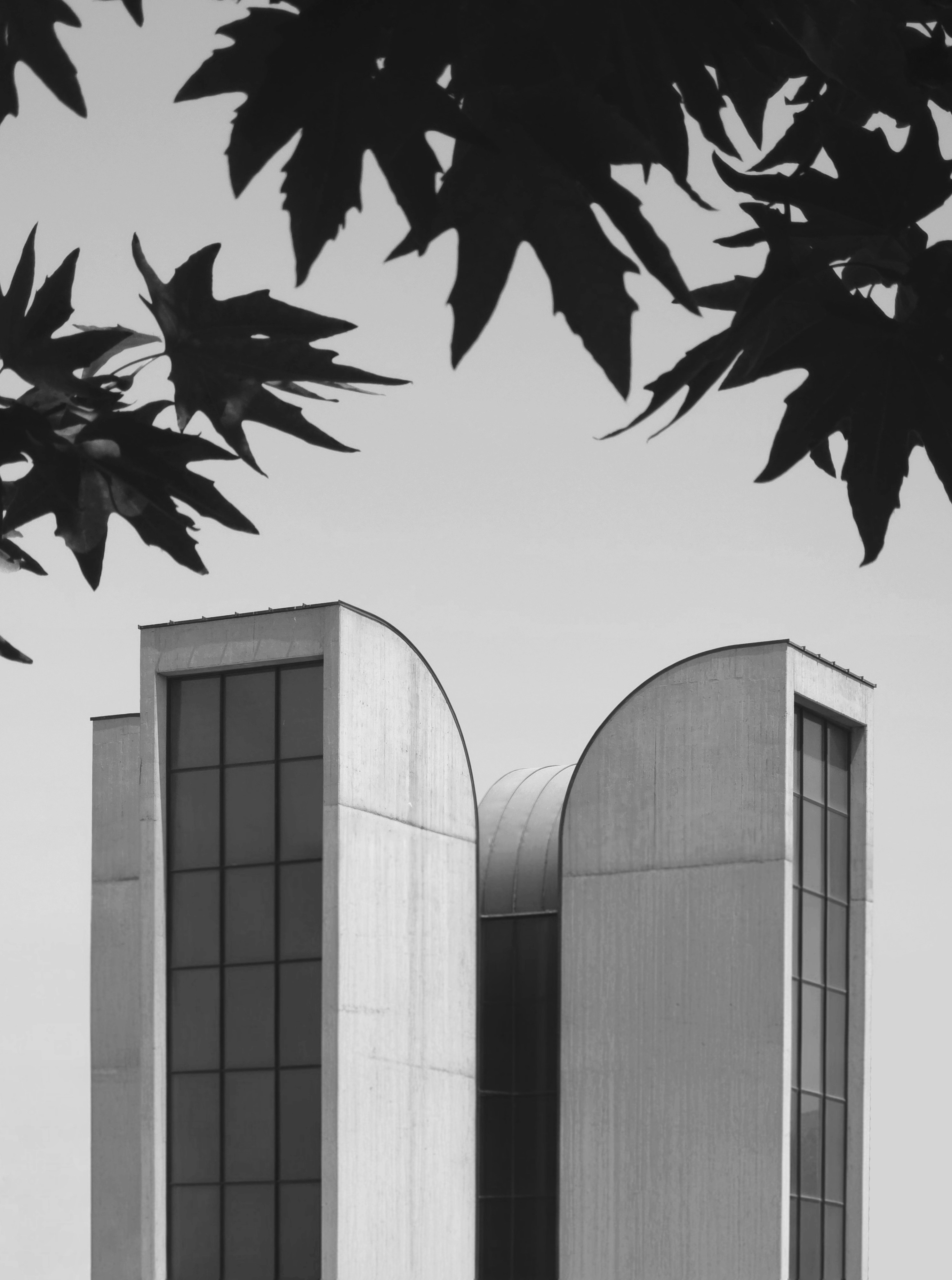 Monolithic Towers Breathe Beneath Angled Canopies