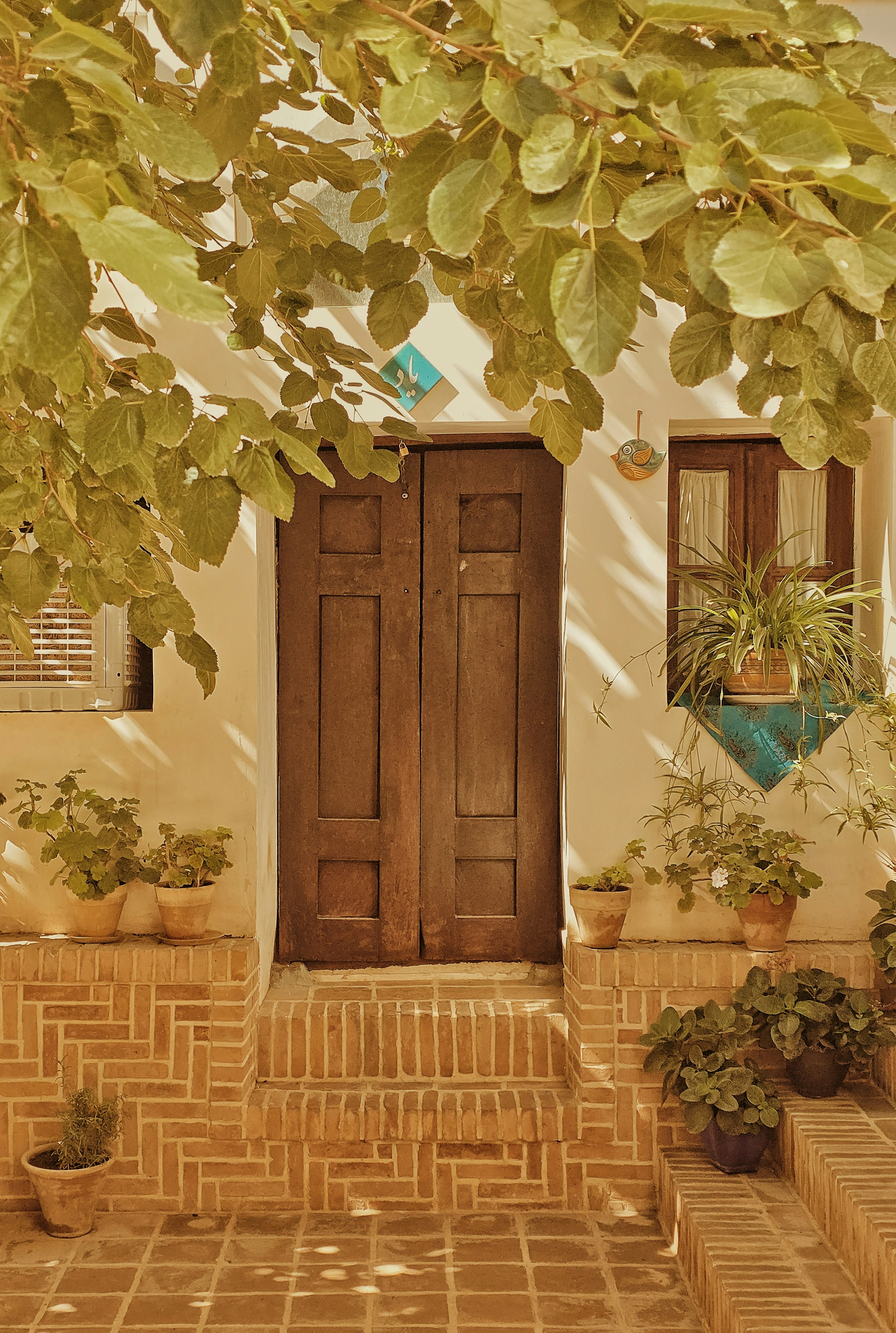 Sunlit Terracotta Doorstep Framed by Greenery