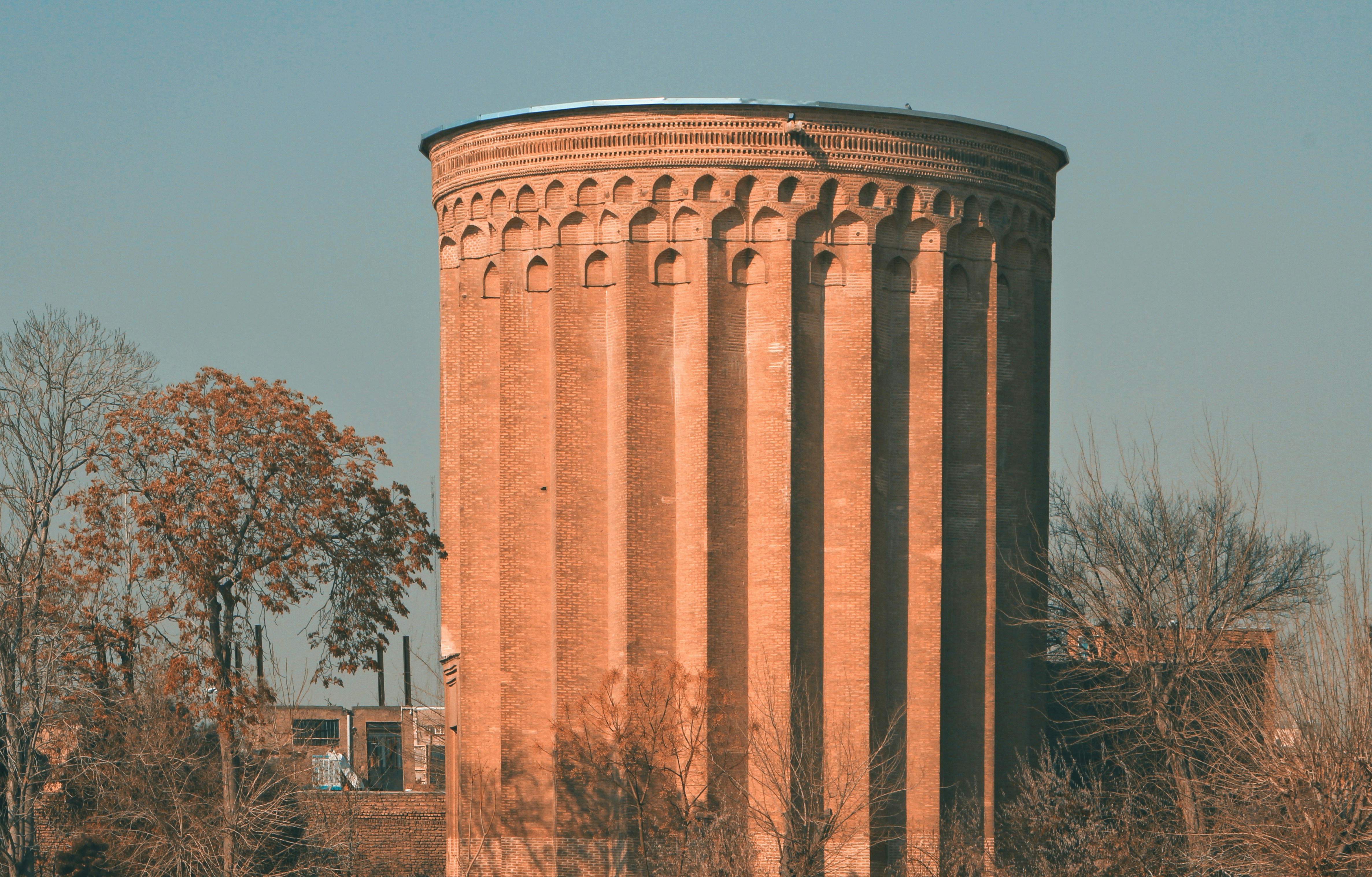 Brick Chimera: A Cylindrical Water Tower Rising Beyond Winter Foliage