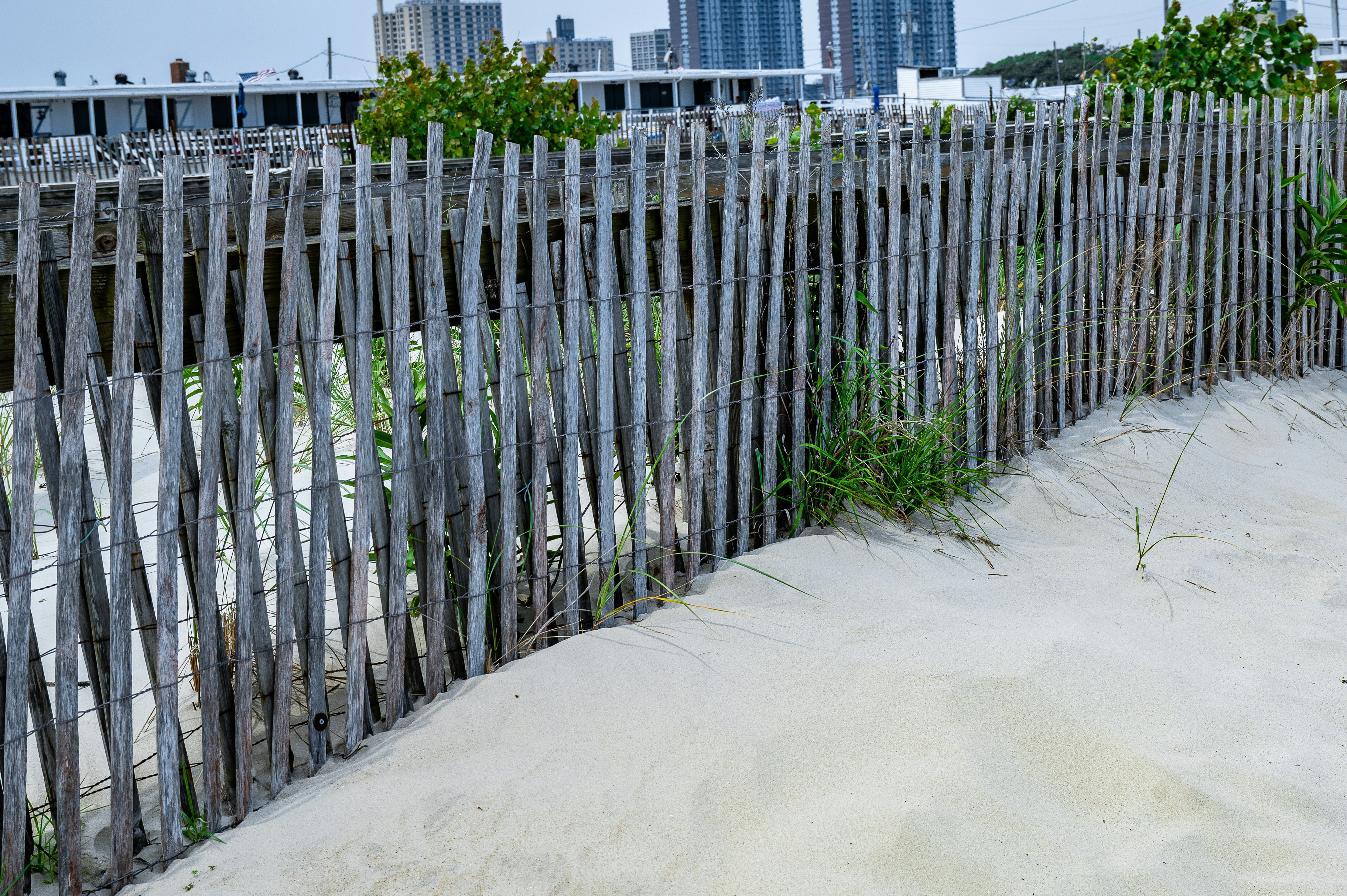 A Windswept Fence Guards a Quiet Dubai Beachline