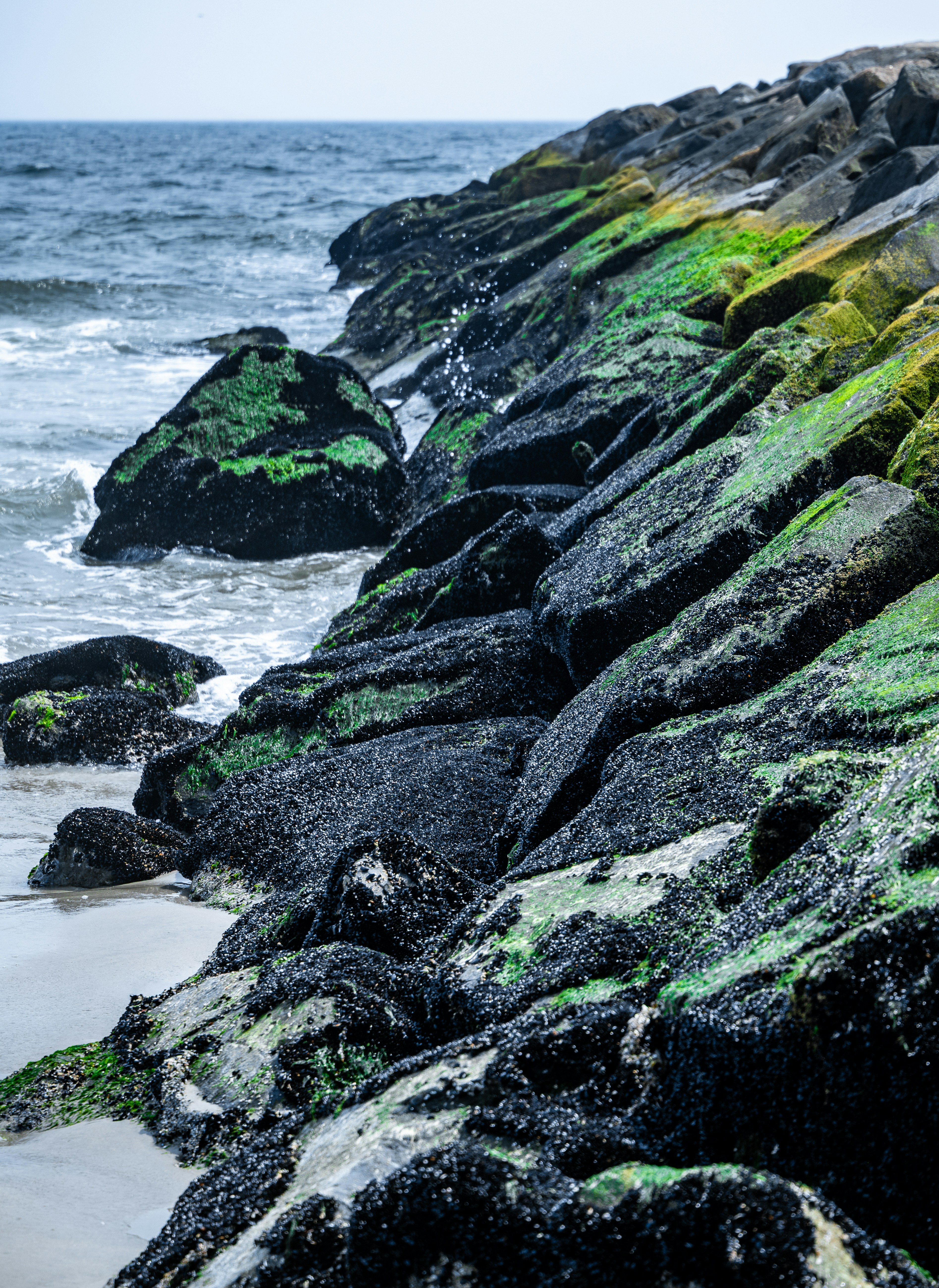 Green-touched Breakers: Moss-Covered Rocks Reaching into the Sea