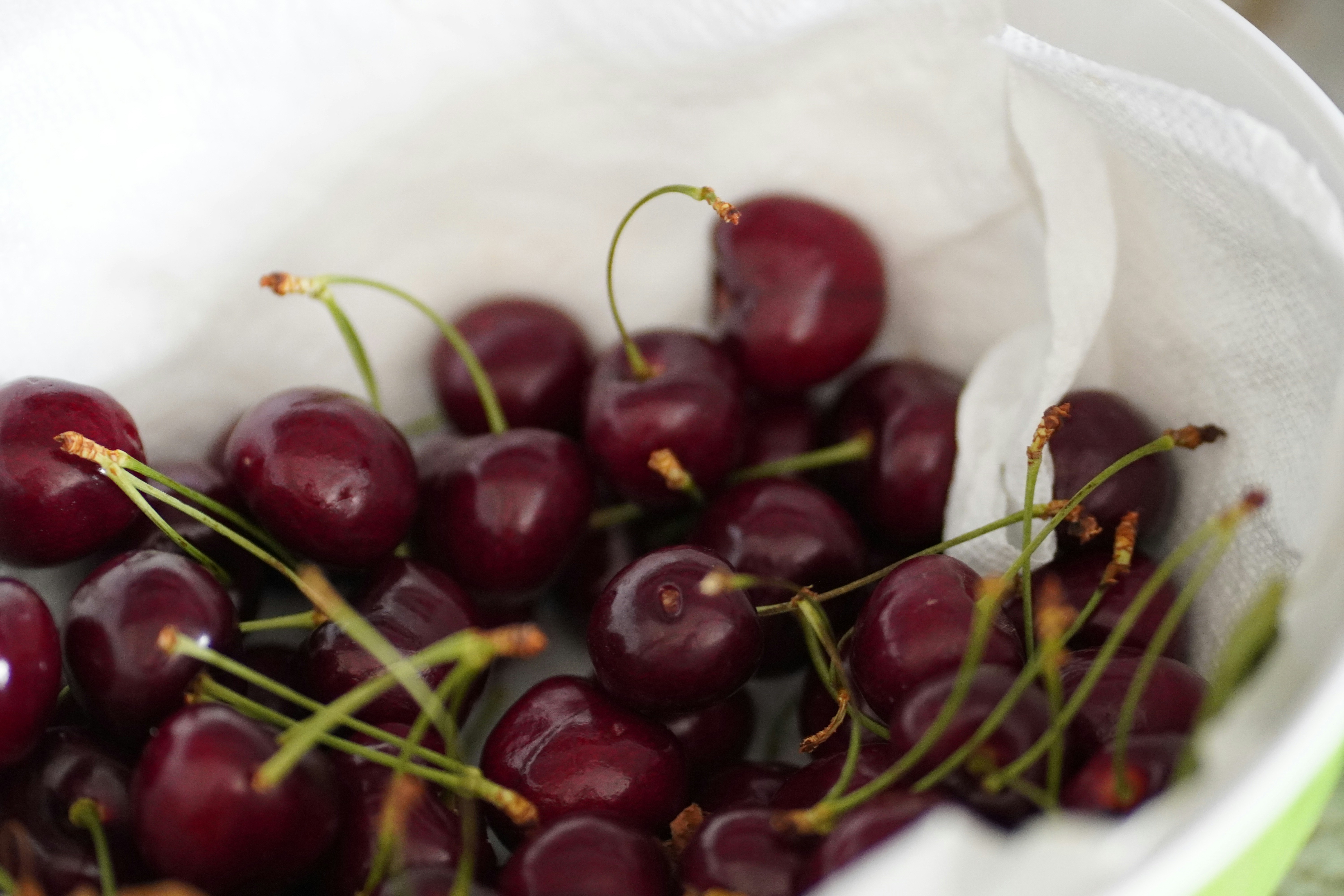 Juicy cherries with stems resting on a white napkin in a bowl, close-up focus highlighting rich red tones and glossy skins. A still-life composition emphasizing texture and color. Logo or branding not present.