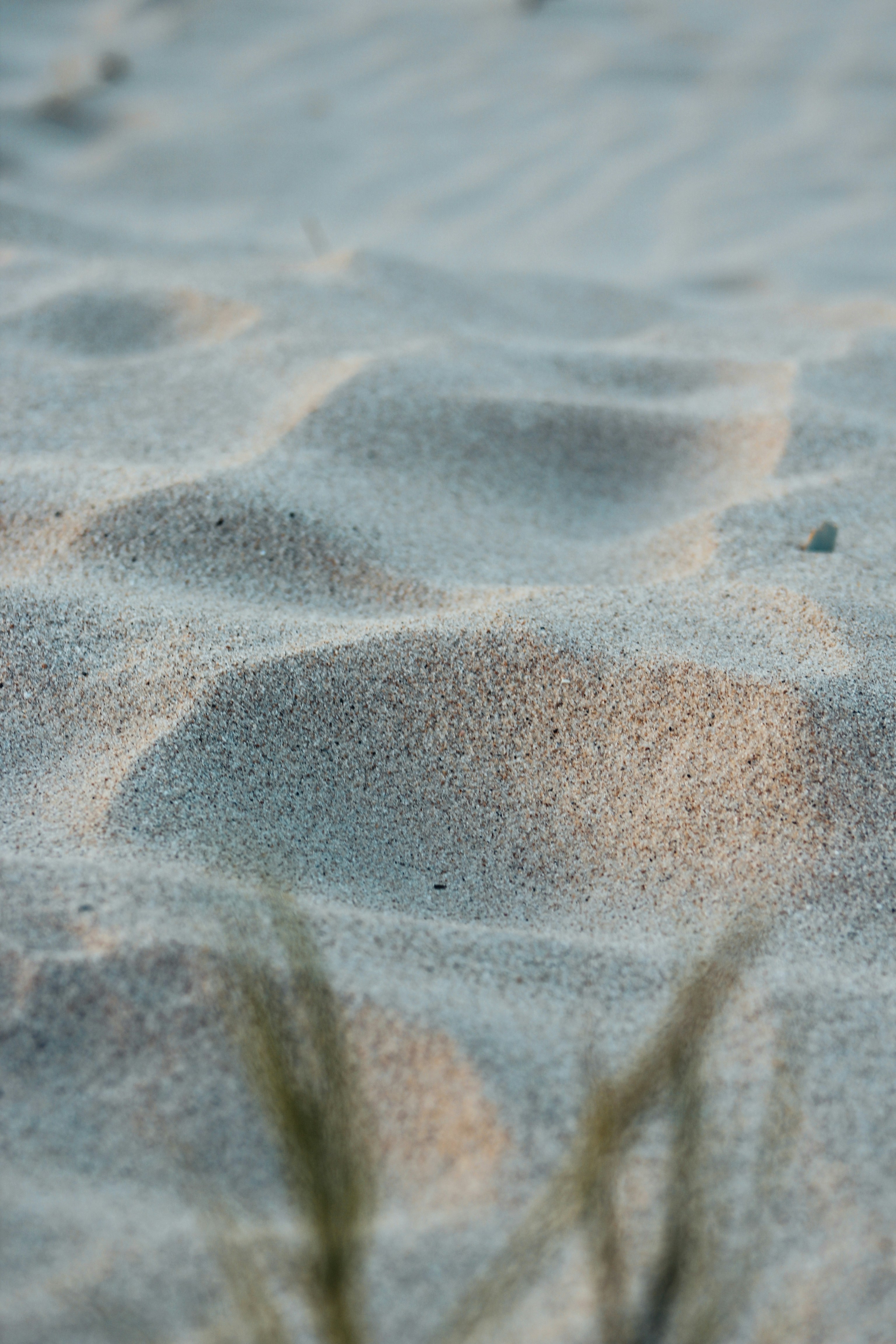 Dune Valleys: Quiet Ripples on Sunlit Sand
