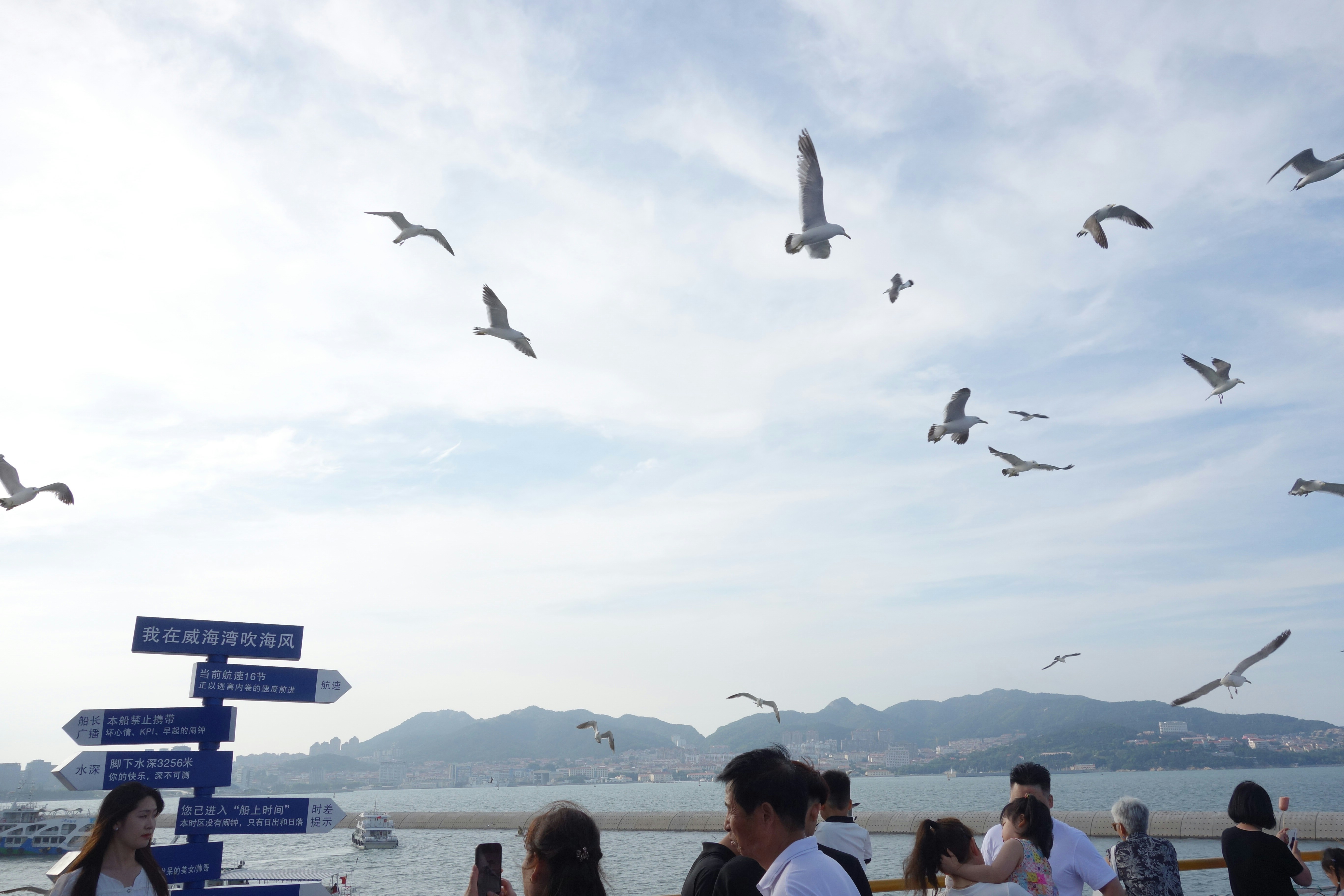 Seabreeze Assembly: A Crowd Beneath Soaring Gulls