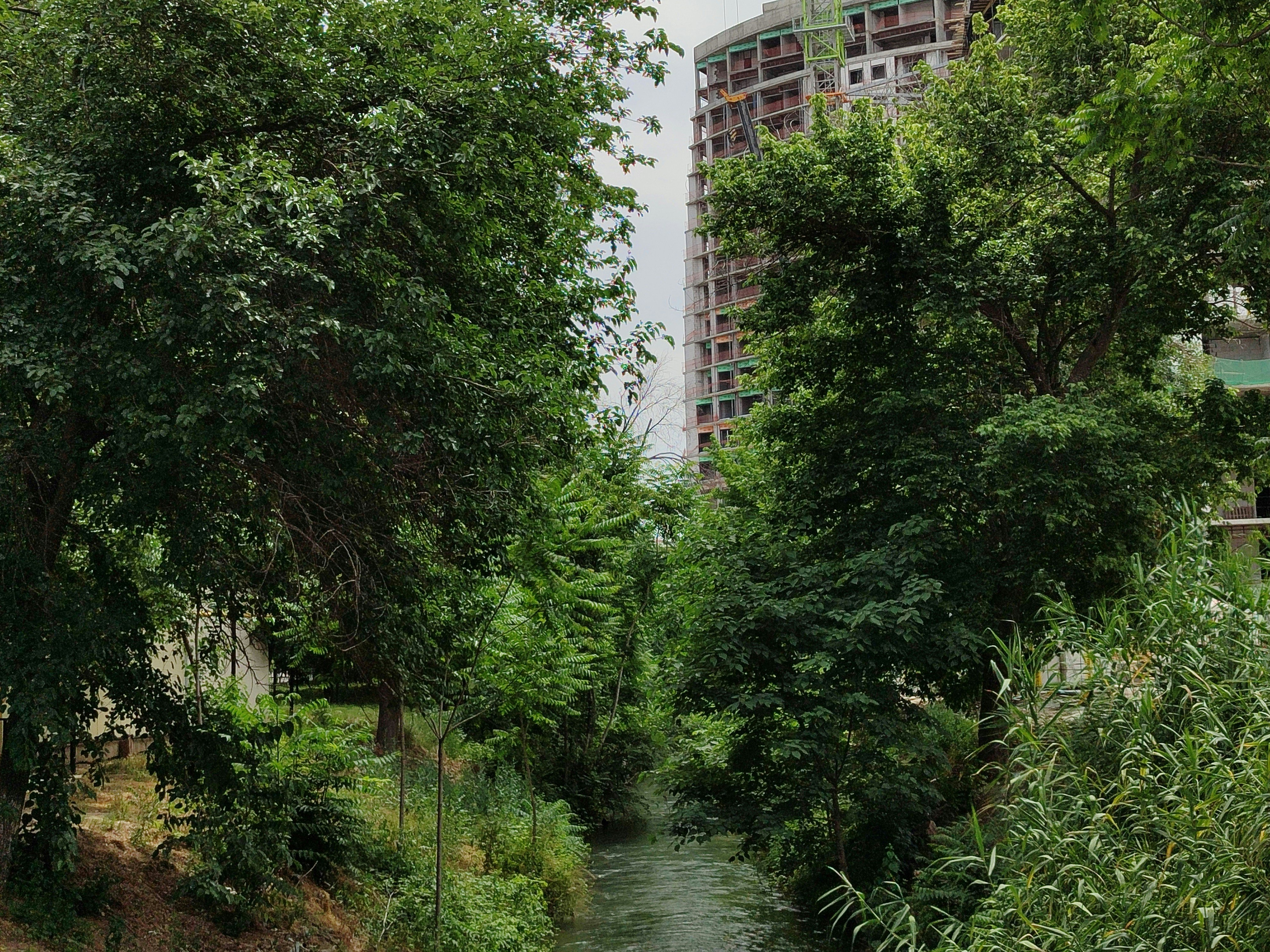 Dense foliage surrounds a narrow stream cutting through an urban green space, with a partially constructed building visible in the background. A calm, natural corridor contrasts with the city core, suggesting a transitional urban park.