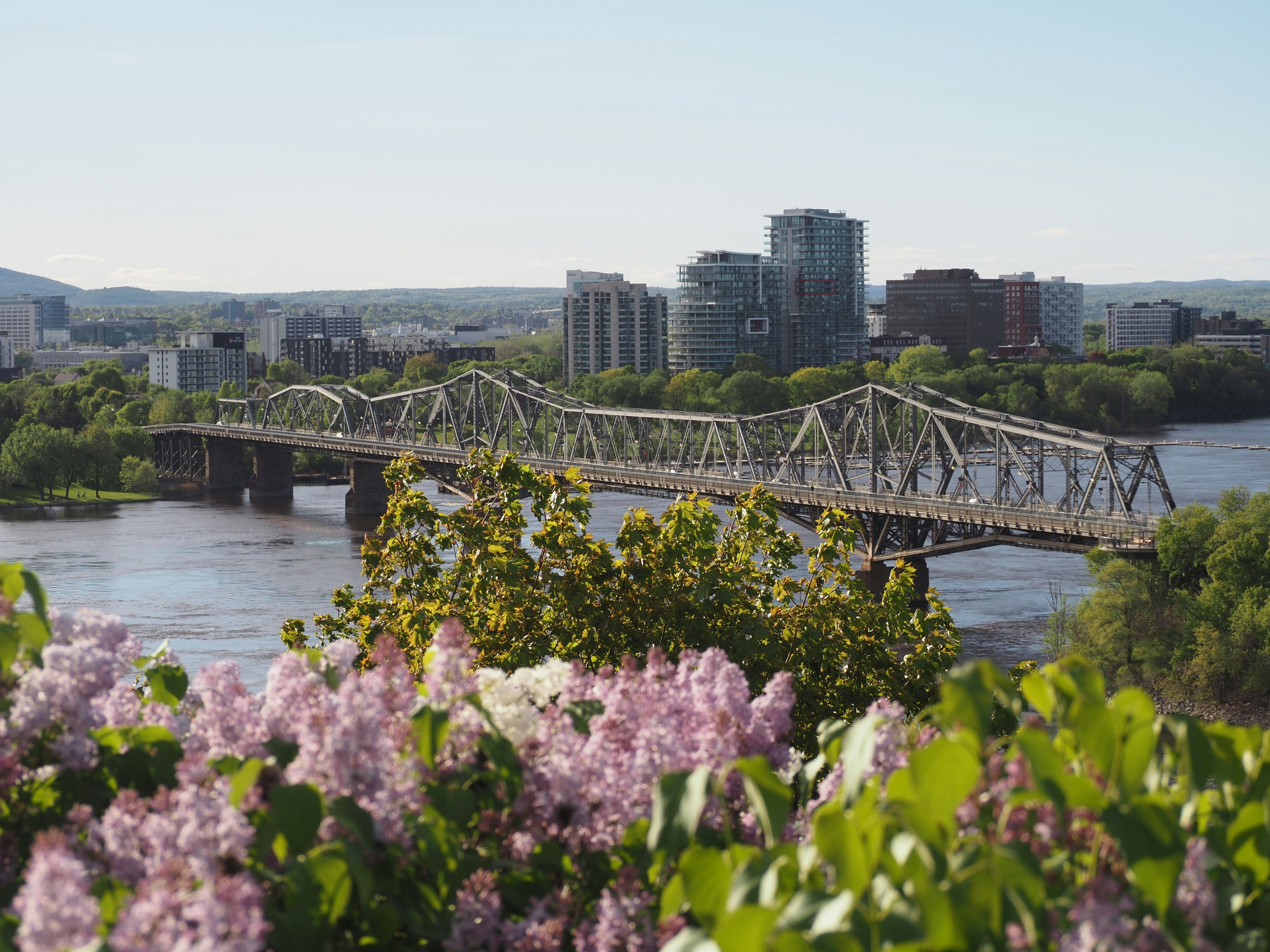 City Bridge Framed by Spring Blooms Over the River