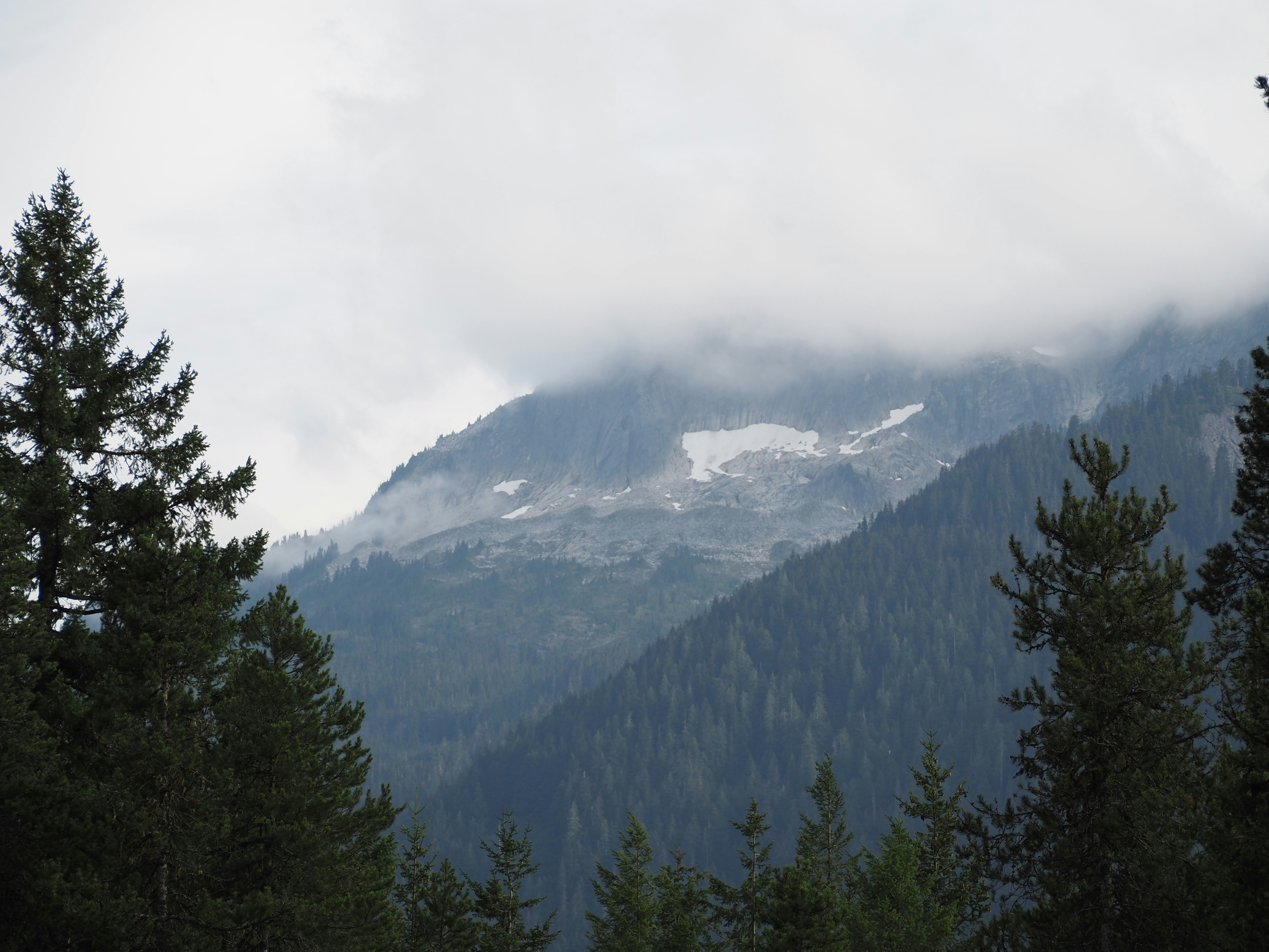 Mist Over the Alpine Spine