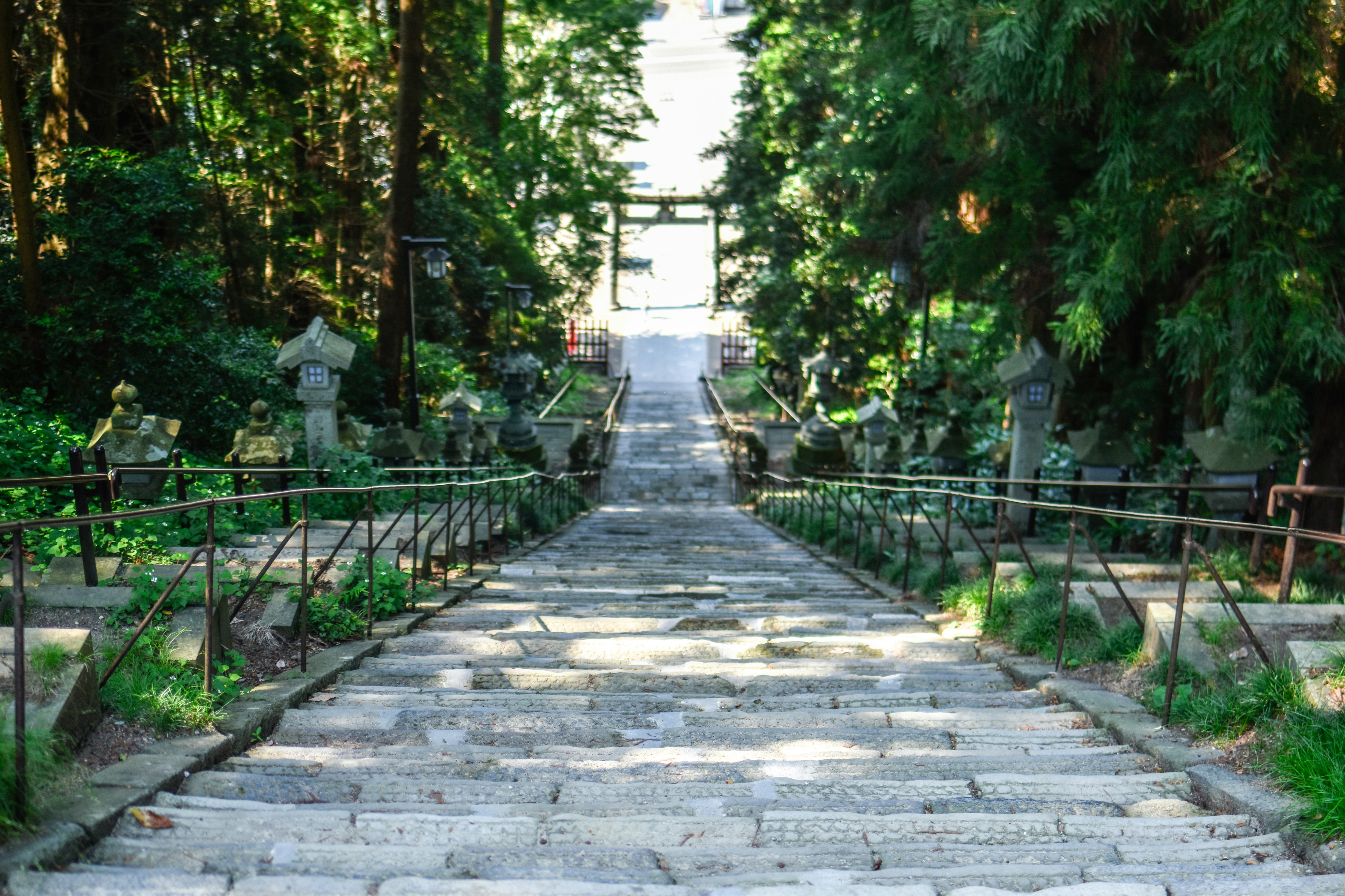 Stone Staircase to a Quiet Shrine Gate