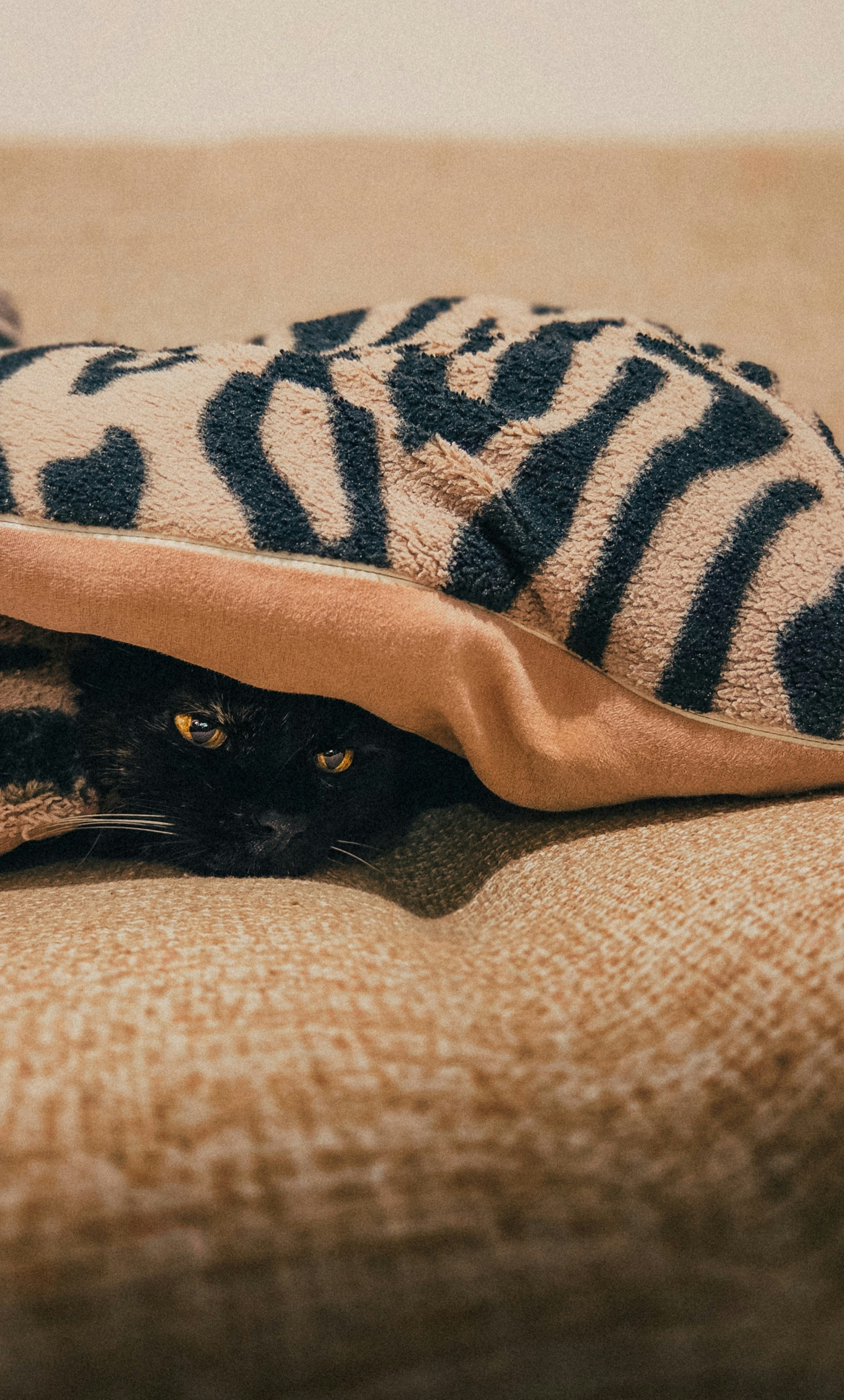 Hidden Gaze: A Tiger-Patterned Blanket Casts a Cat's Quiet Watch