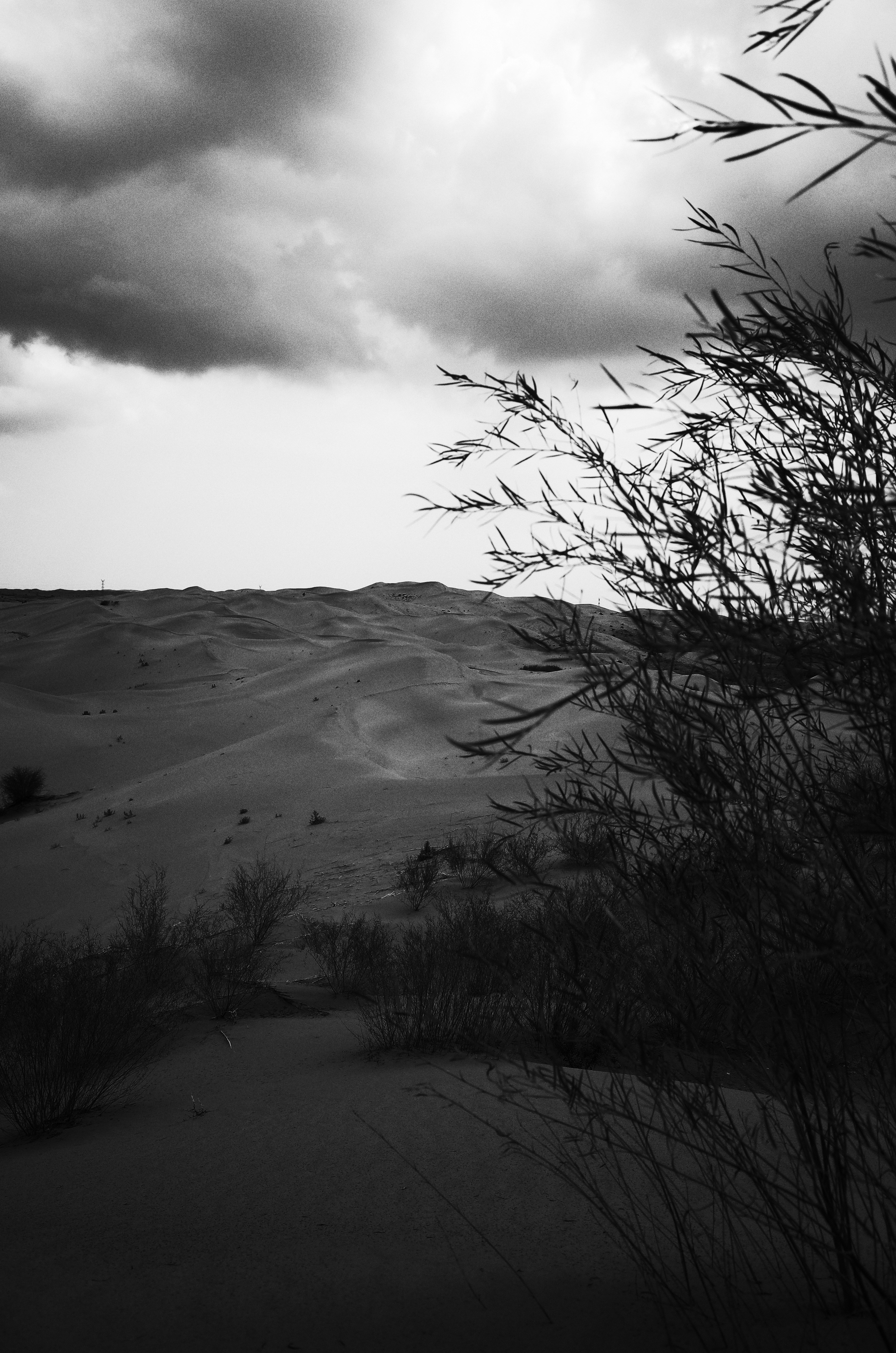 A moody monochrome desert scene with rolling dunes and sparse vegetation under a heavy, overcast sky.